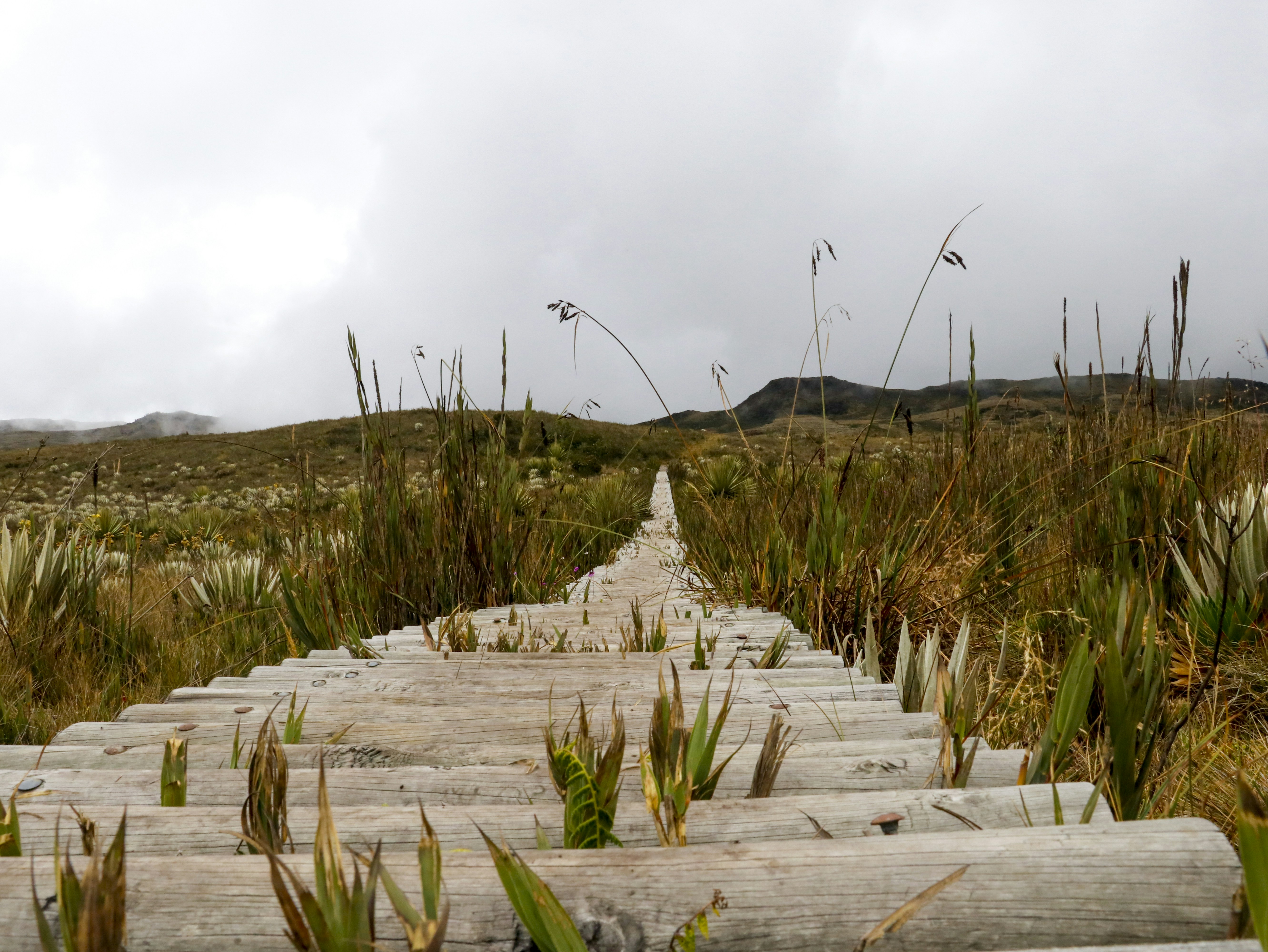 Paramo Pictures | Download Free Images on Unsplash