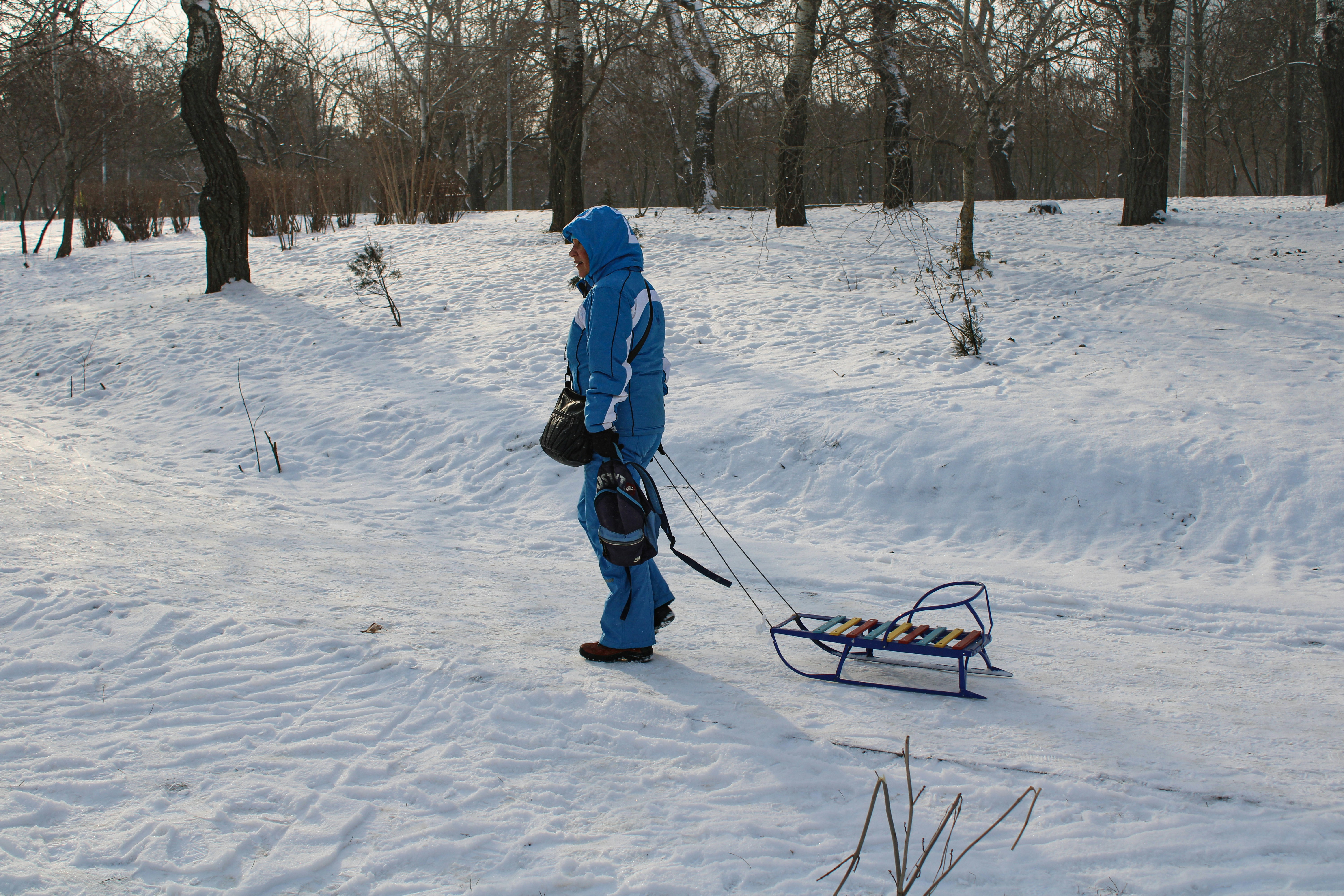 A person in a blue snow suit pulling a sled photo – Free Human Image on ...
