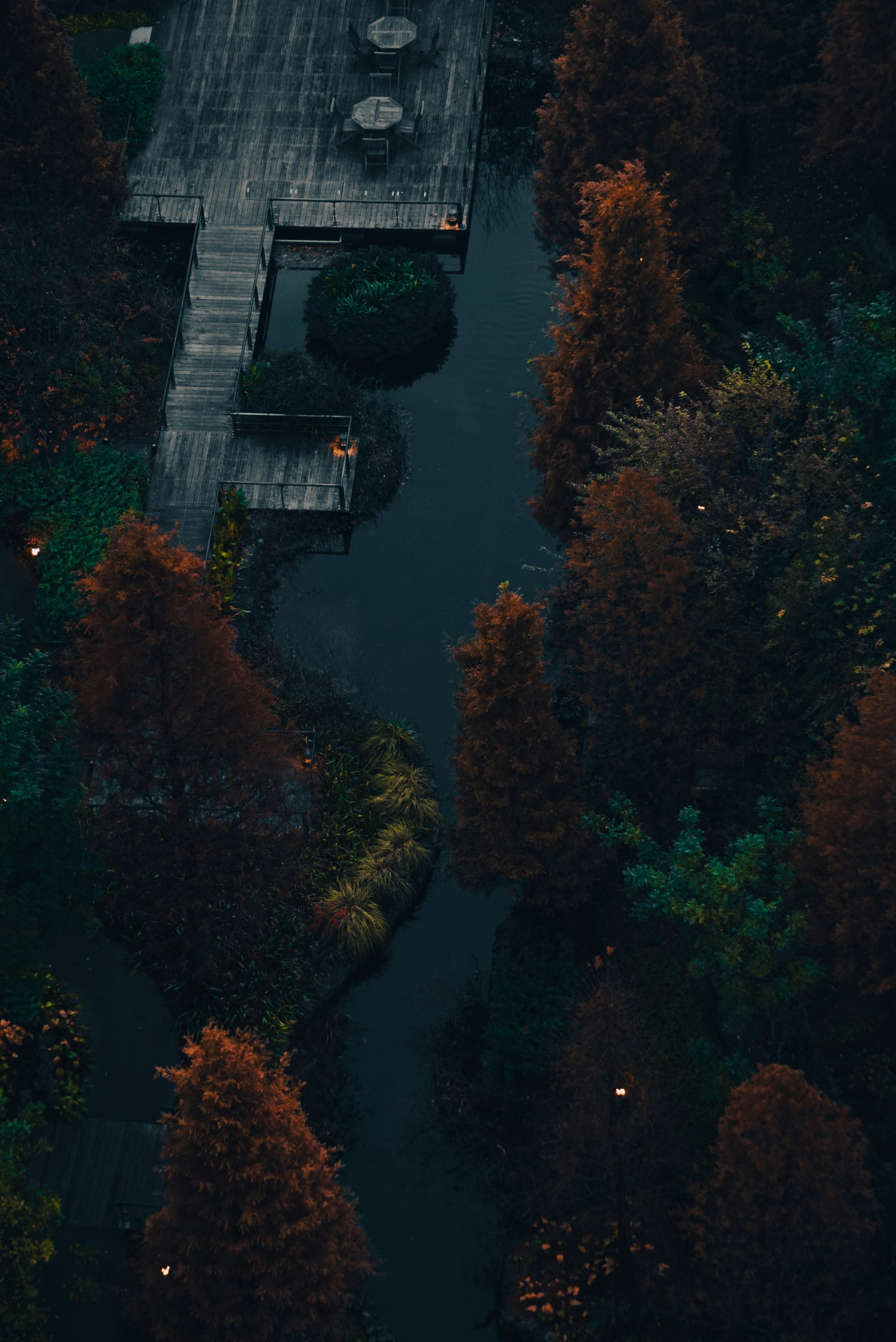 Boardwalk Through Autumn Canopy: Aerial View of a Quiet Waterway