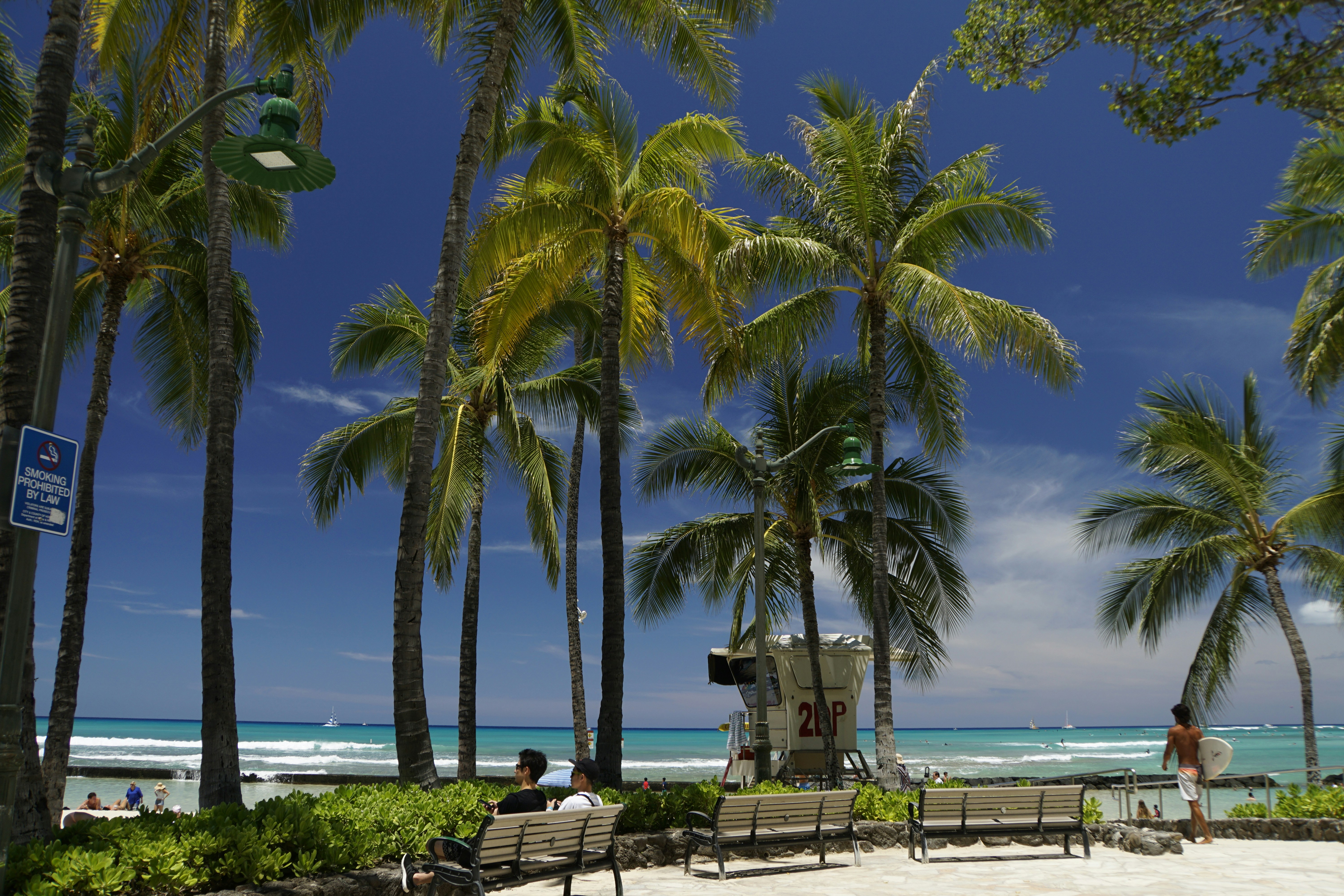 Palm trees sway gently in the breeze, framing a lifeguard station on a sunny beach filled with visitors enjoying the ocean waves.