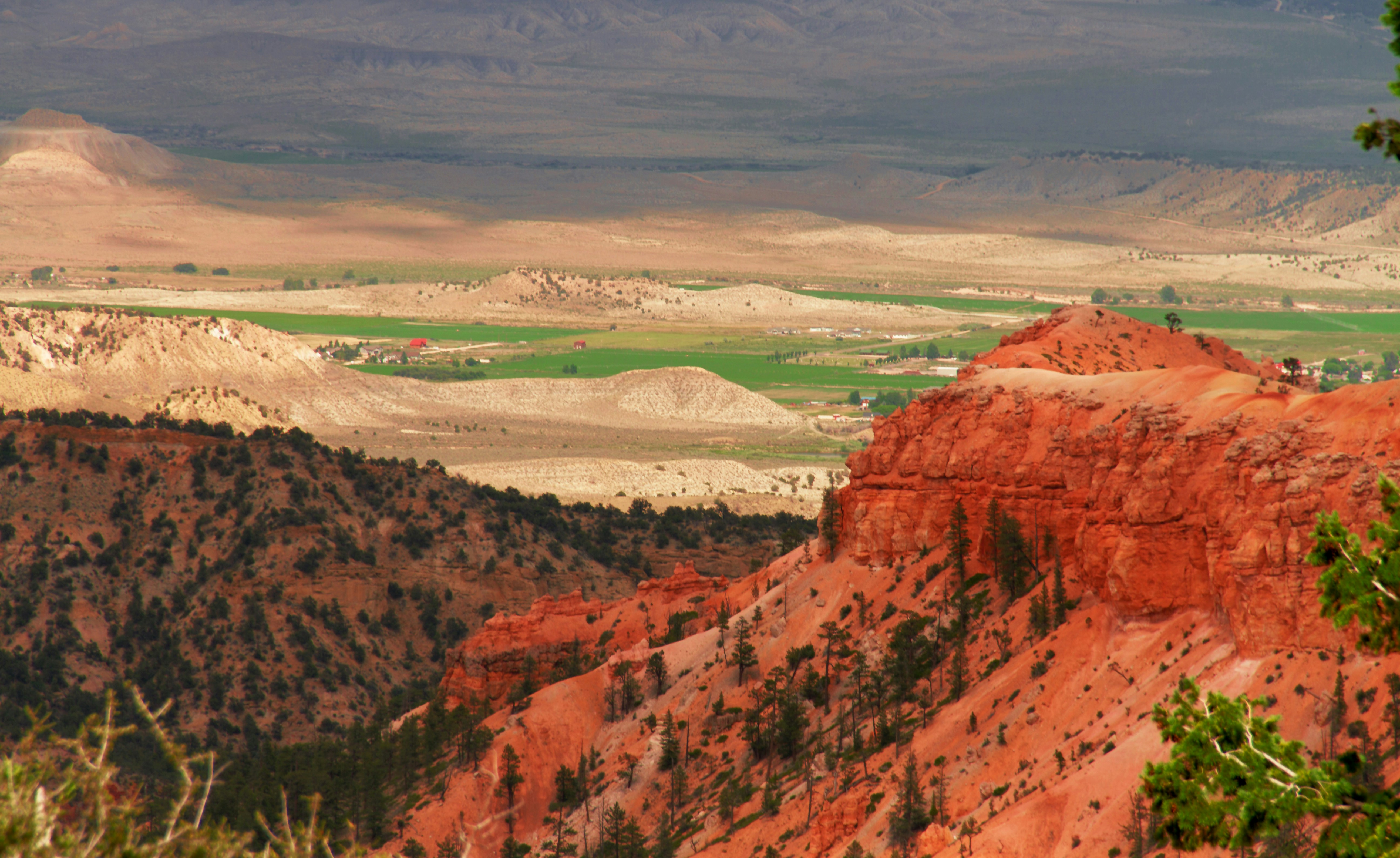 Vibrant red rock formations contrast with the lush green valley below, showcasing a dramatic landscape of geological history and natural beauty.