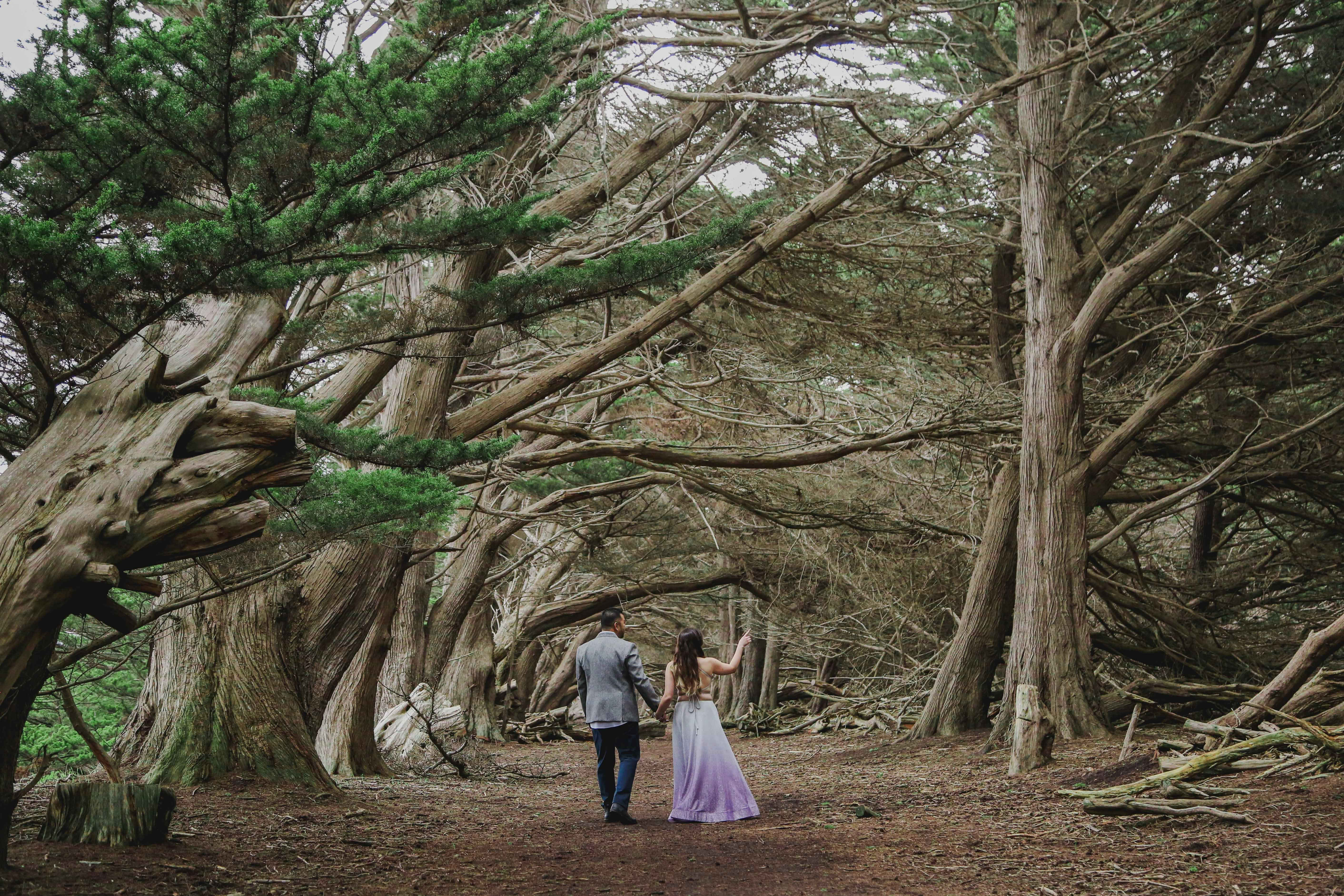 Whispering Giants: A Couple Dancing Beneath an Ancient Forest Arcade