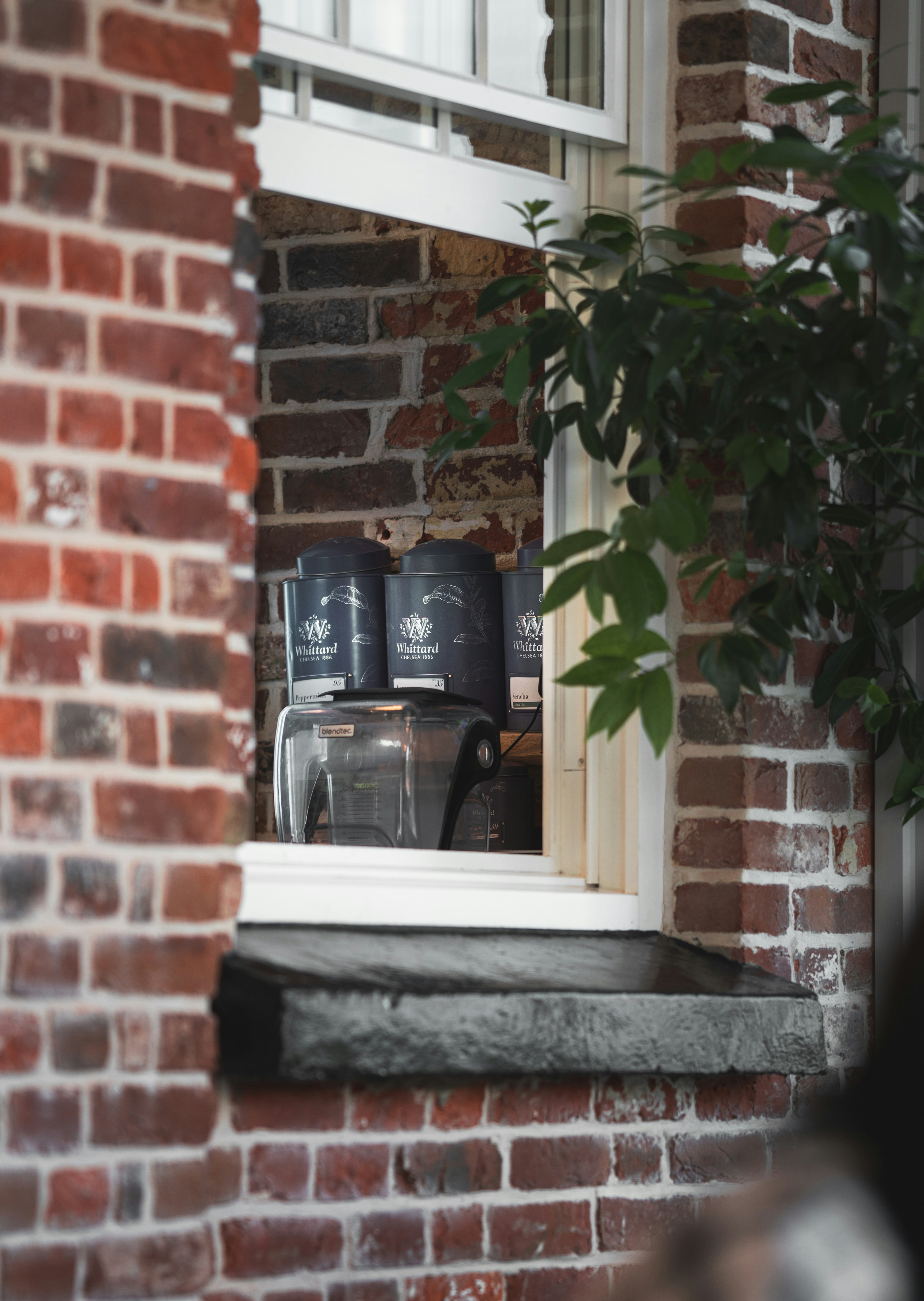 Coffee equipment visible through a window framed by rustic red brick and greenery.