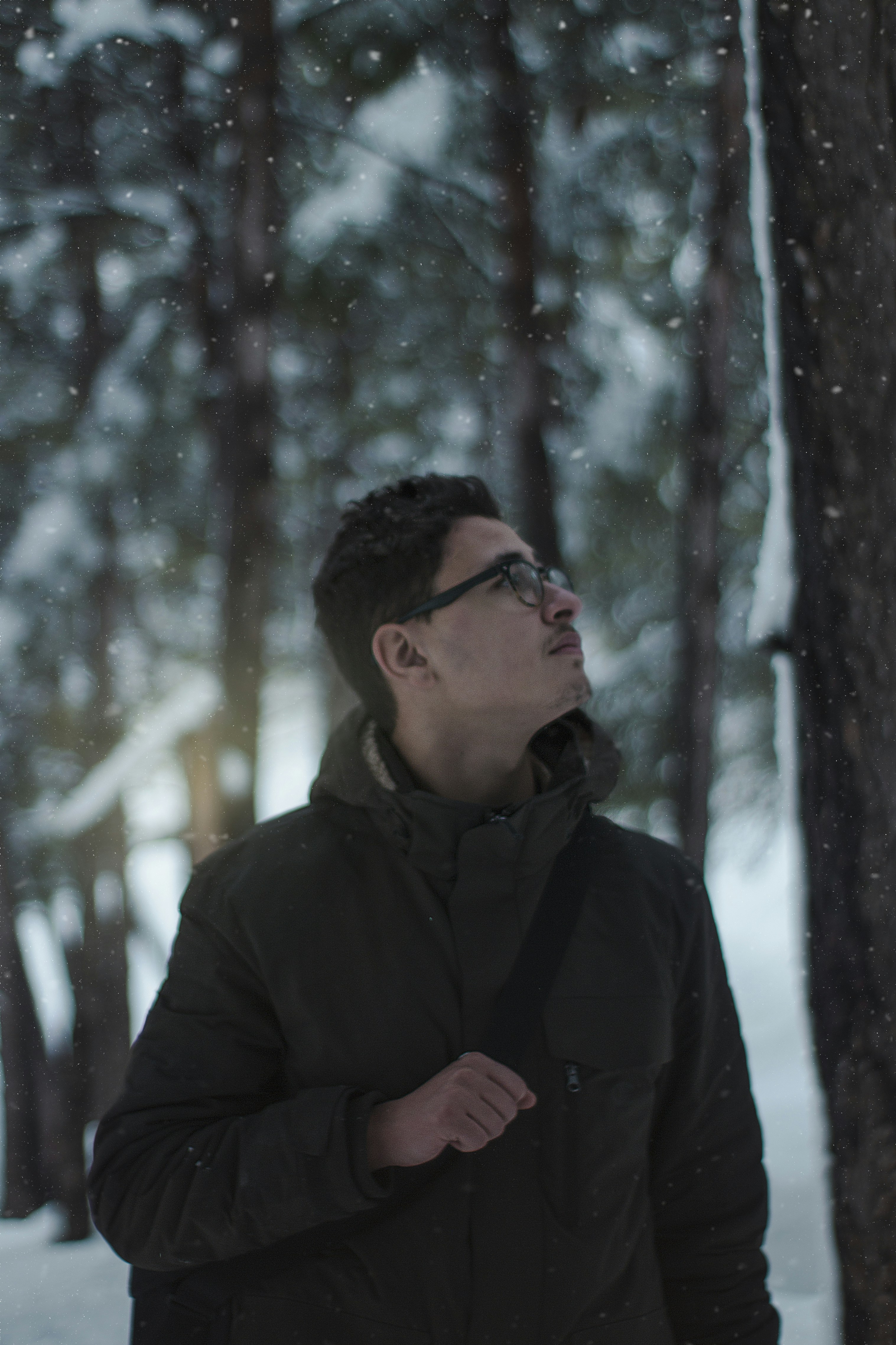 A young man gazes upward amidst falling snow in a tranquil forest, capturing the essence of solitude in winter. The scene conveys a sense of wonder and introspection.