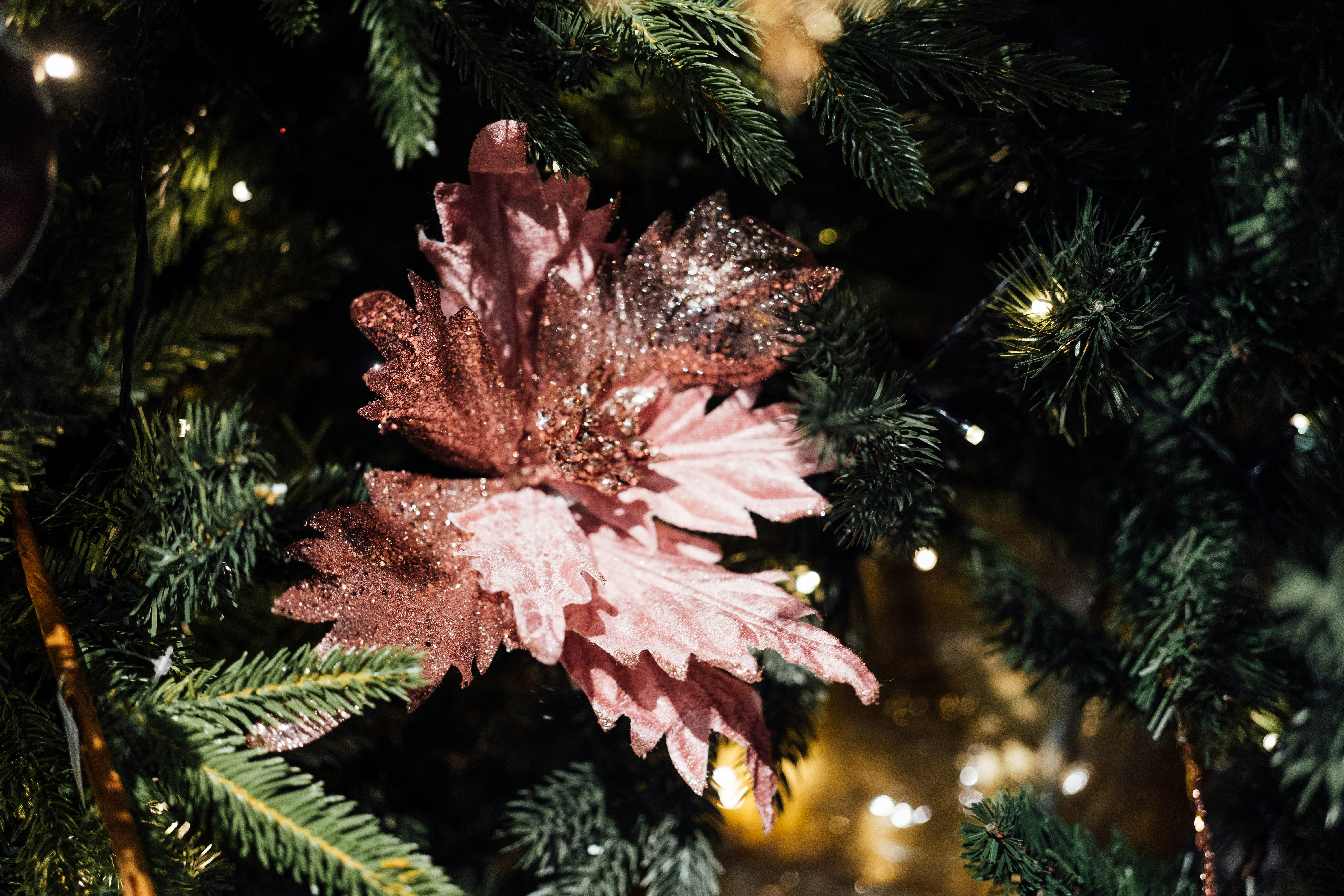 Glittered Pink Leaf Ornament Quietly Illuminates a Christmas Fir