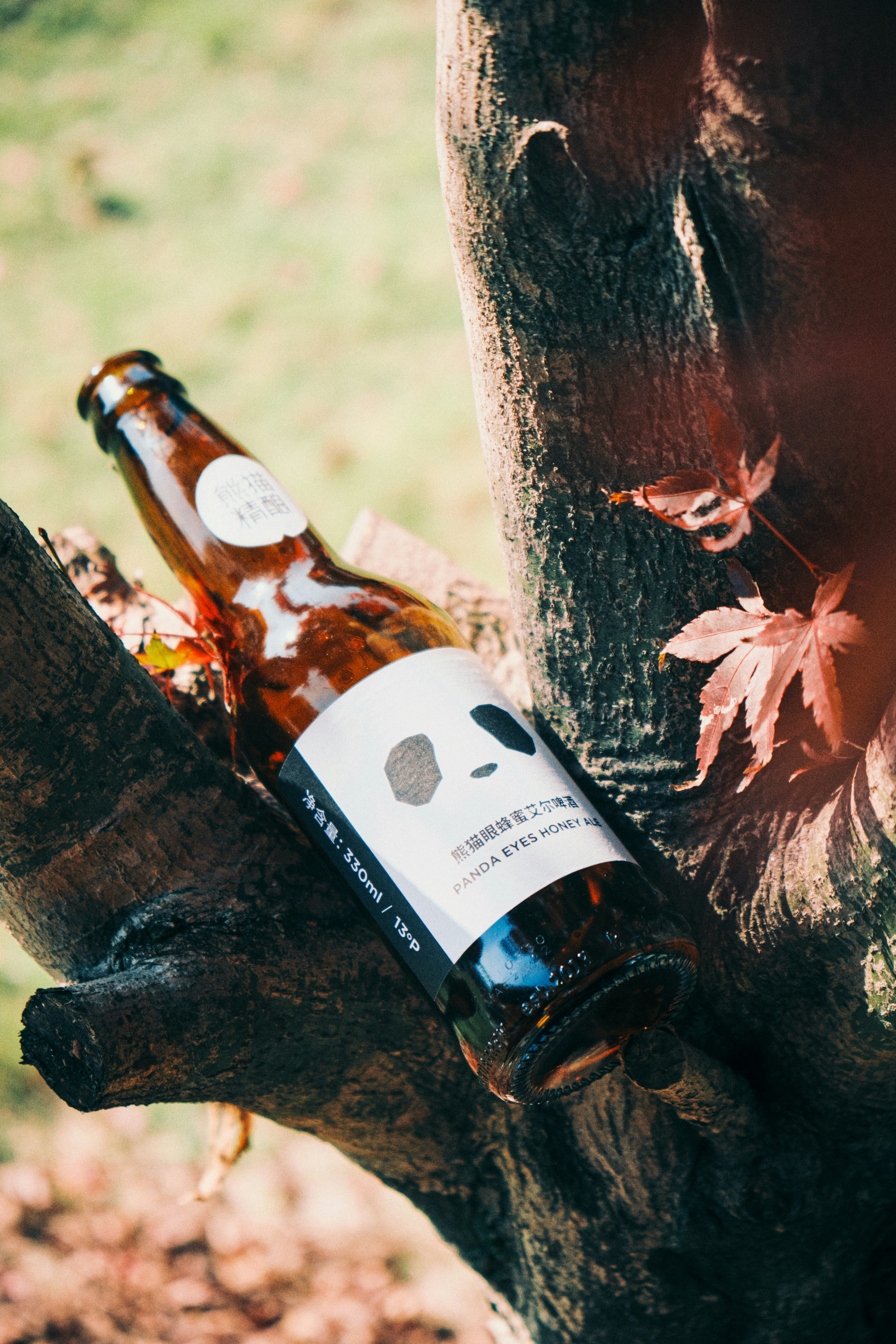 A bottle of honey-flavored beverage nestled in the crook of a tree, surrounded by autumn leaves. The scene captures a moment of nature and human interaction.