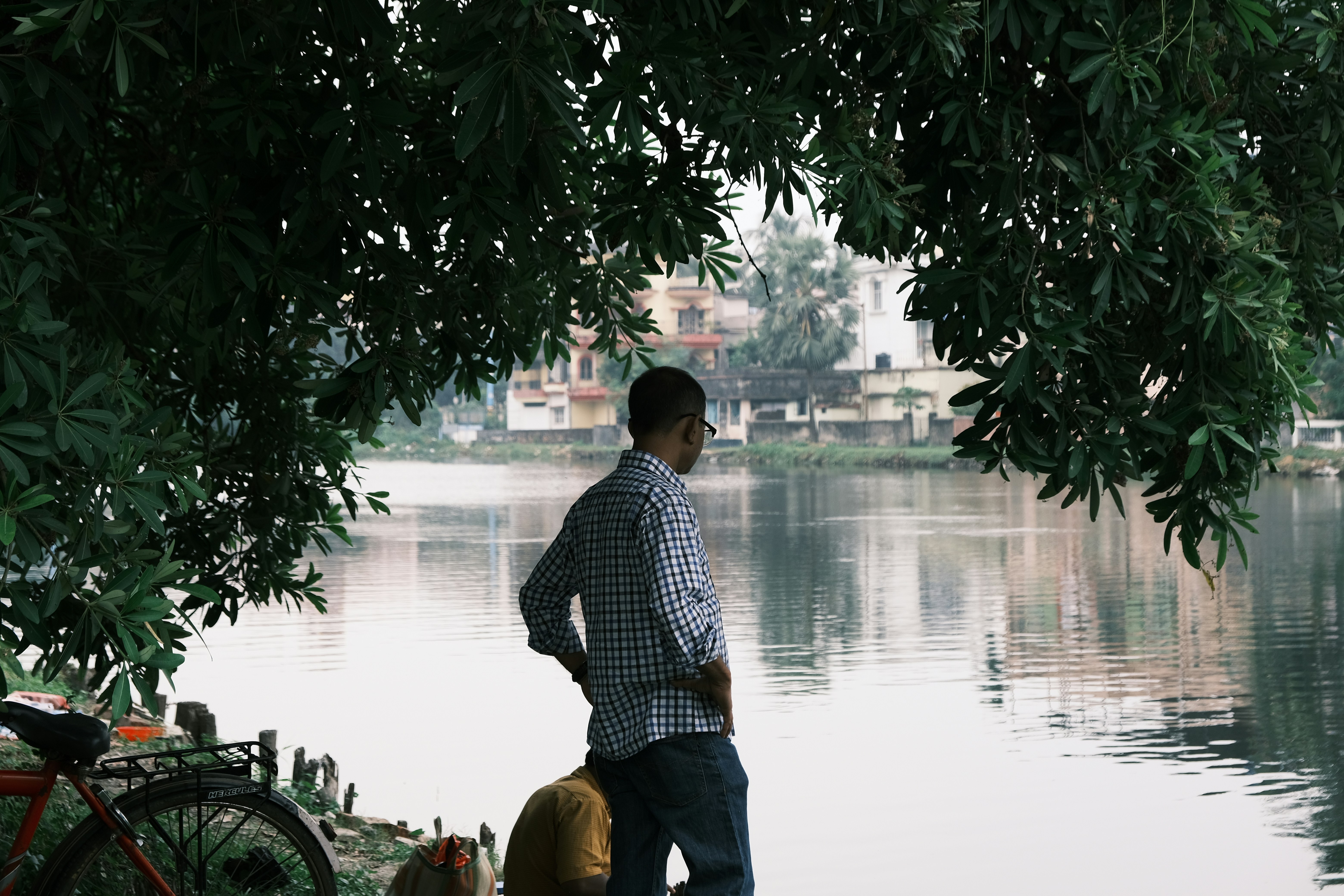Under the Canopy, by the Mirror Lake: A Quiet Pause