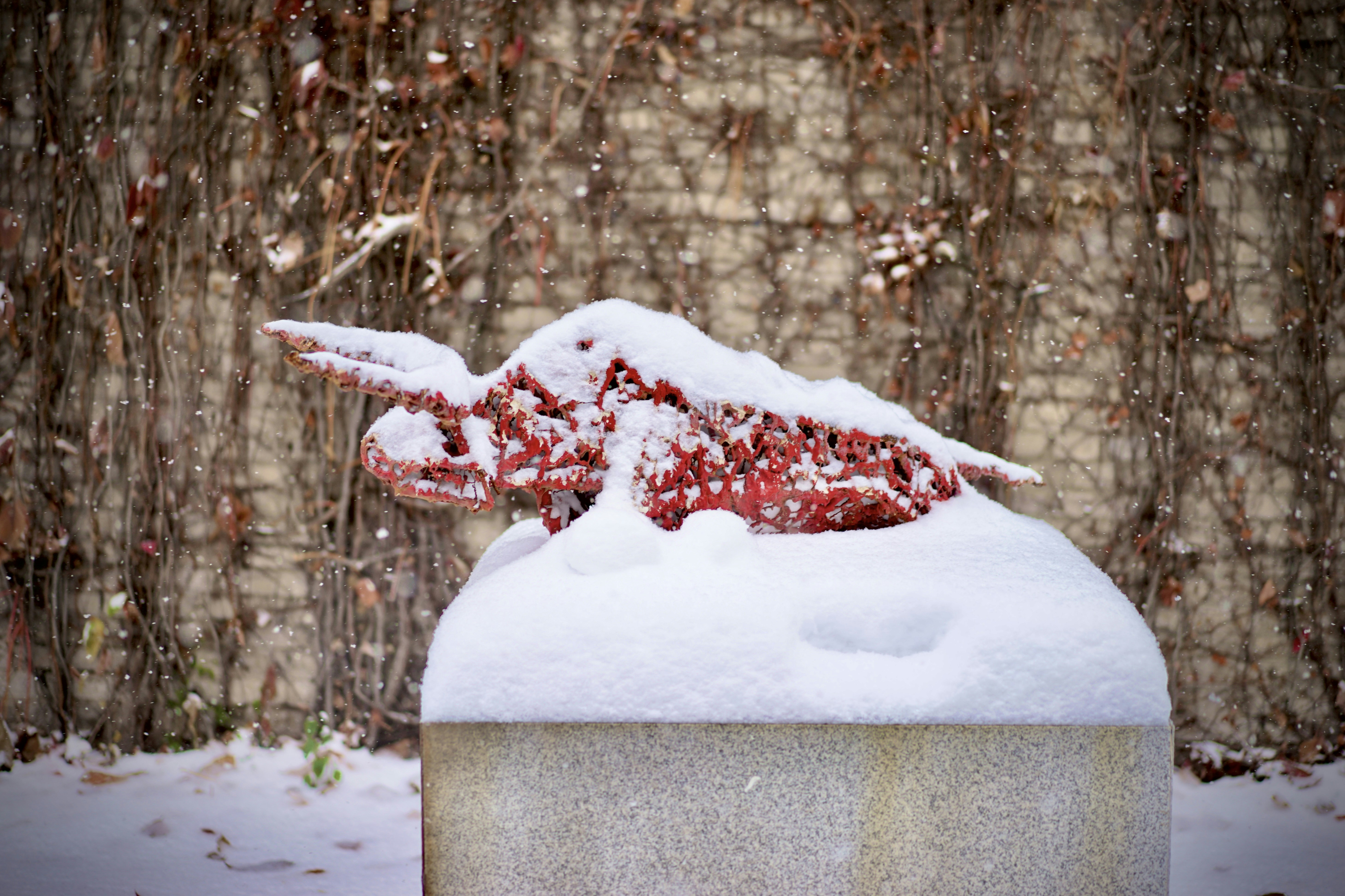 Crimson Ember Crowned by Snow on a Stone Pedestal