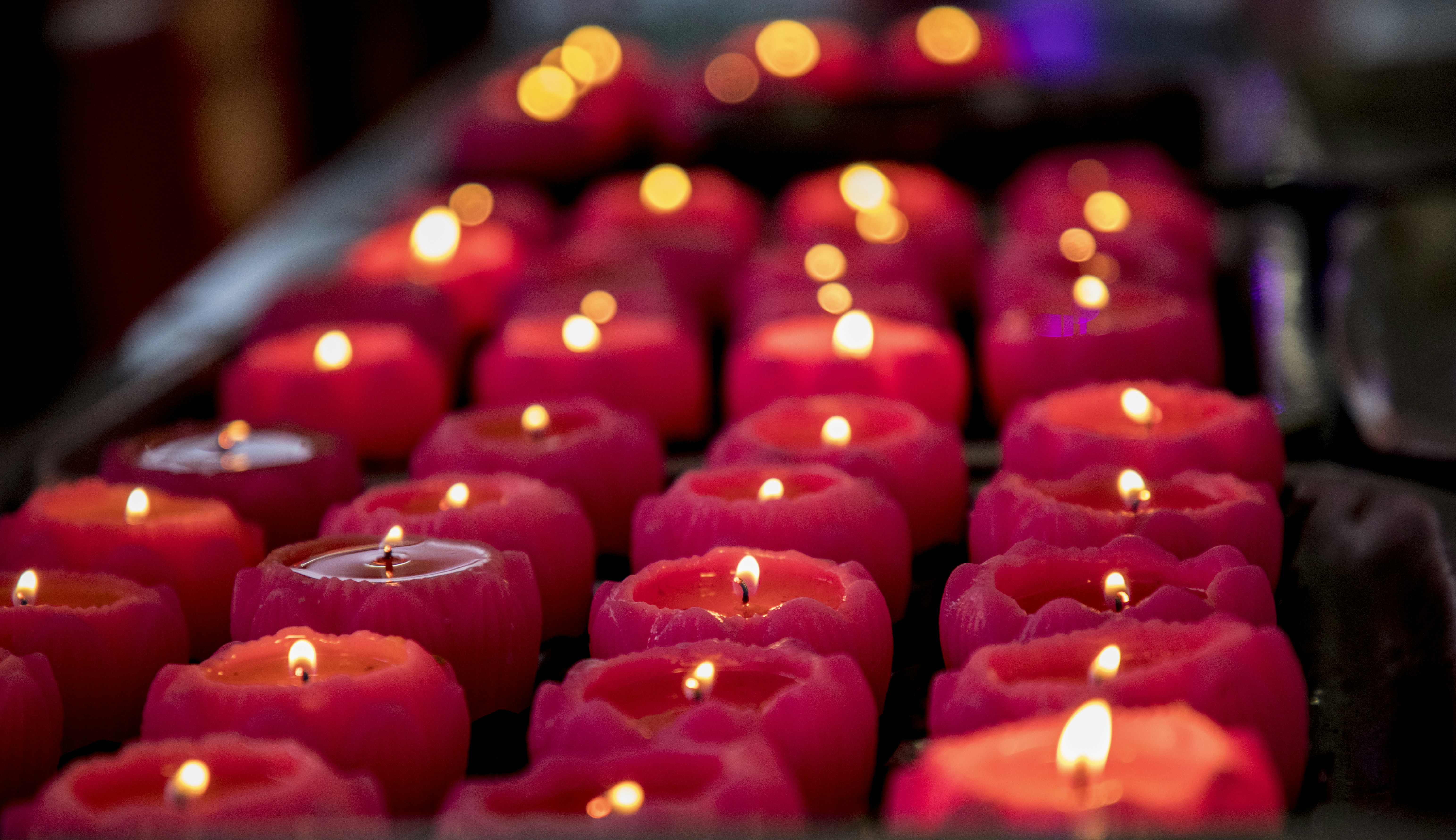 Many red candles are lit in a row photo – Free Kuala lumpur Image on ...