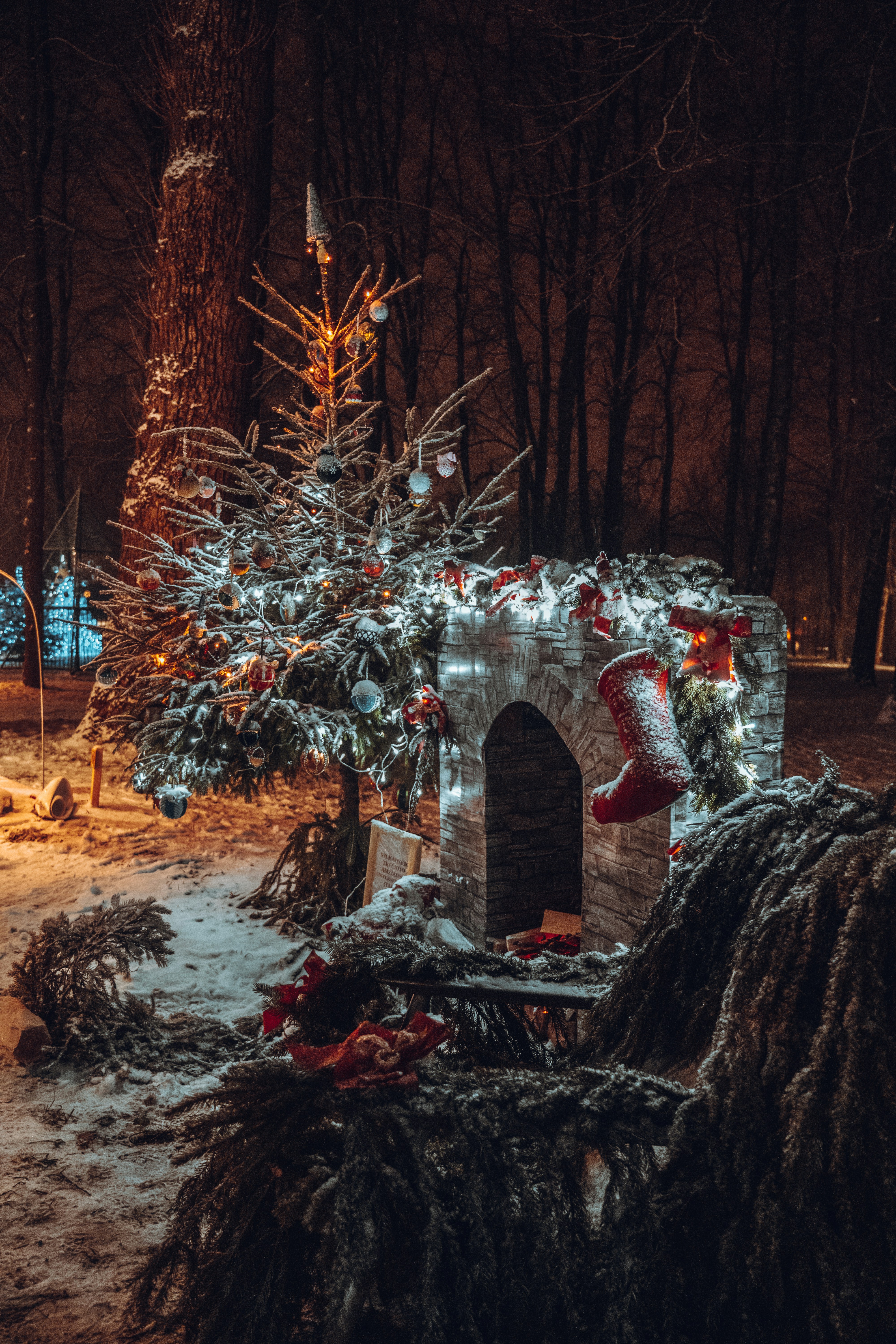 a lit up christmas tree in the woods