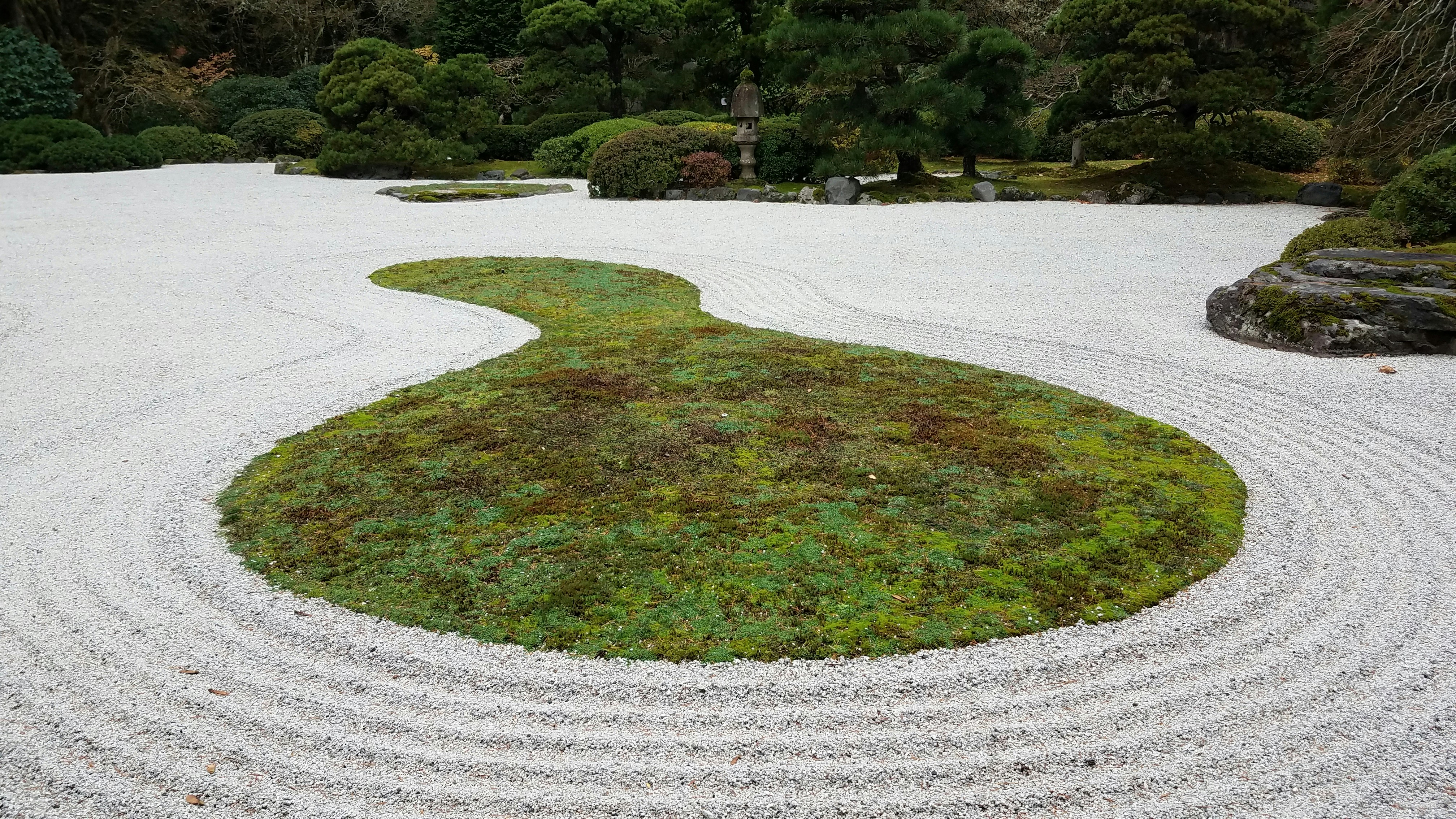 Moss Island in a Zen Garden: Contoured Green Amid White GravelRachel Ellis