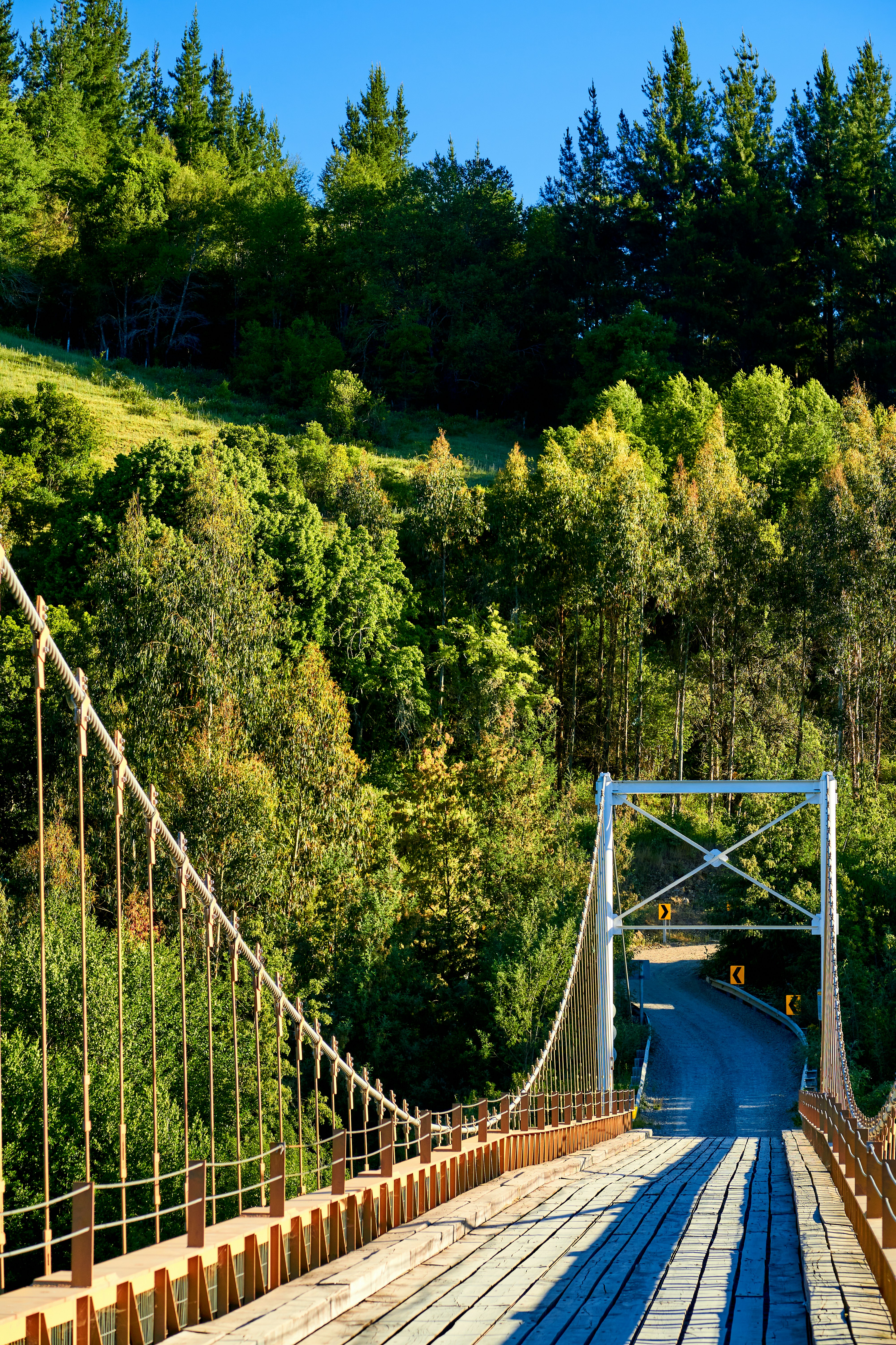 Suspended Serenity: The Bridge to Nature's Embrace