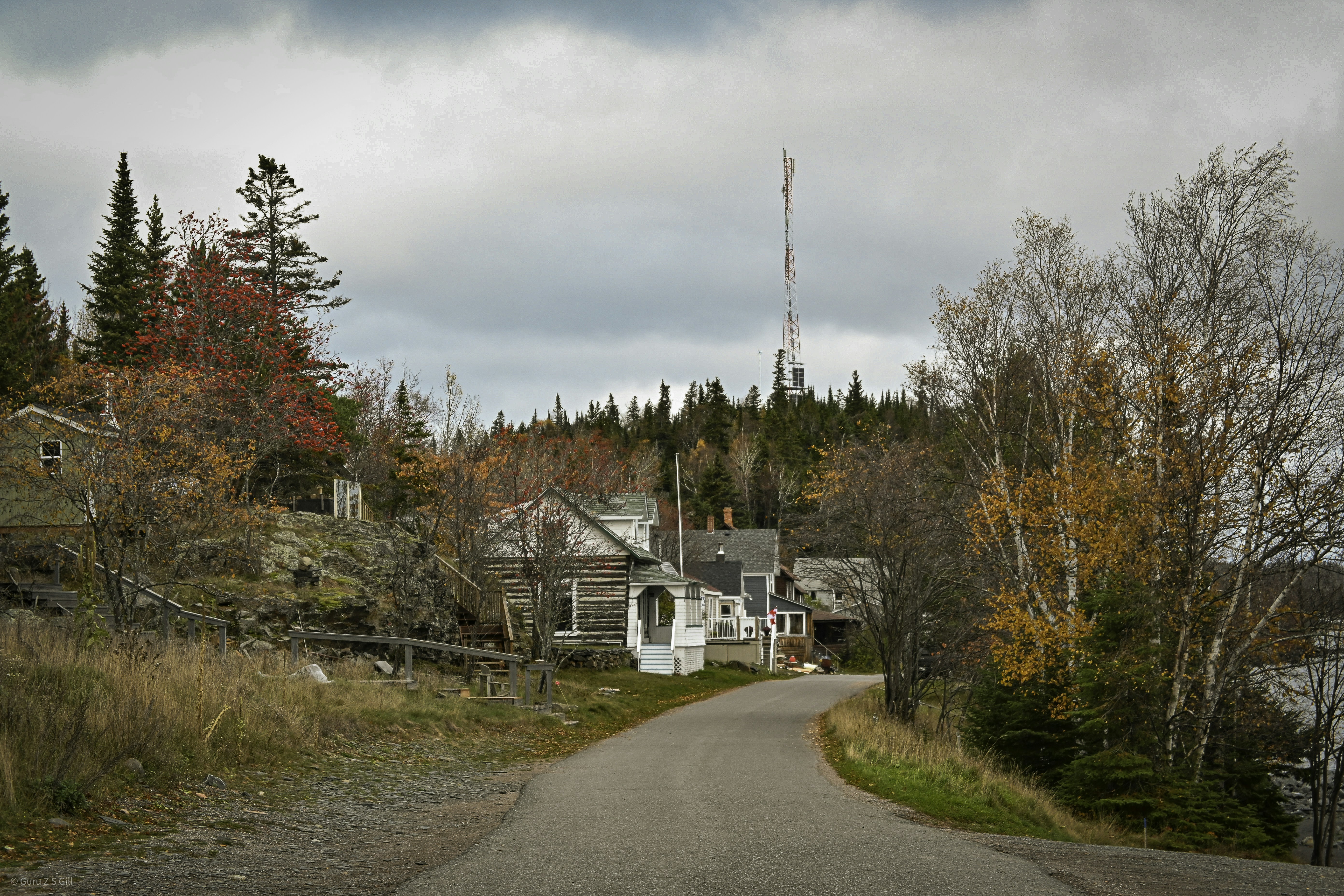 Winding rural road flanked by autumn trees and rustic homes under a cloudy sky.