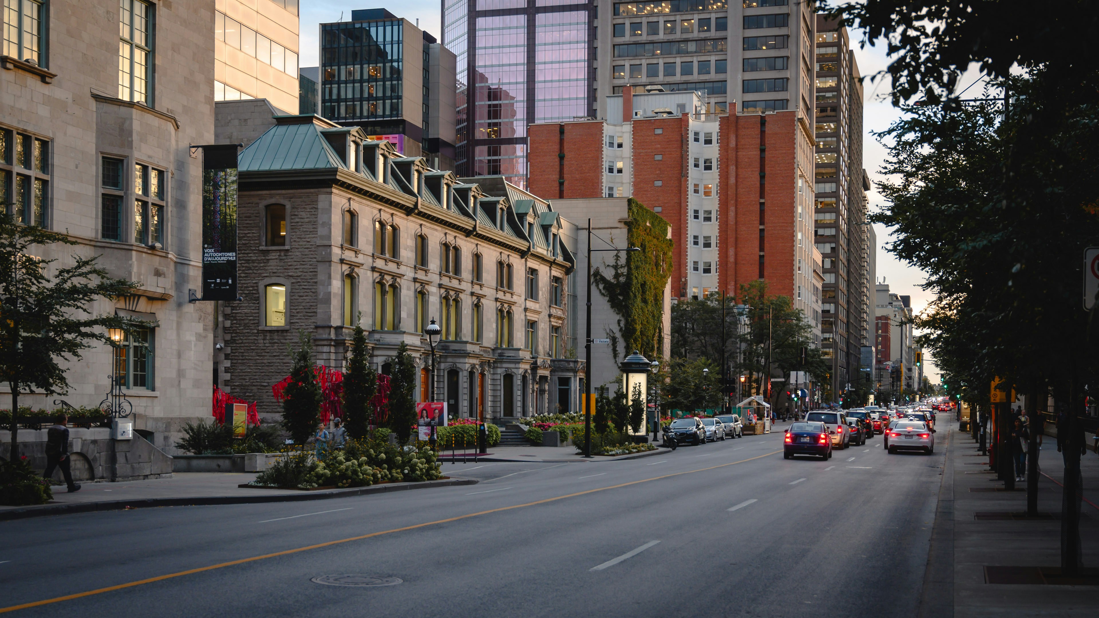 A city street lined with tall buildings and trees photo – Free Building ...