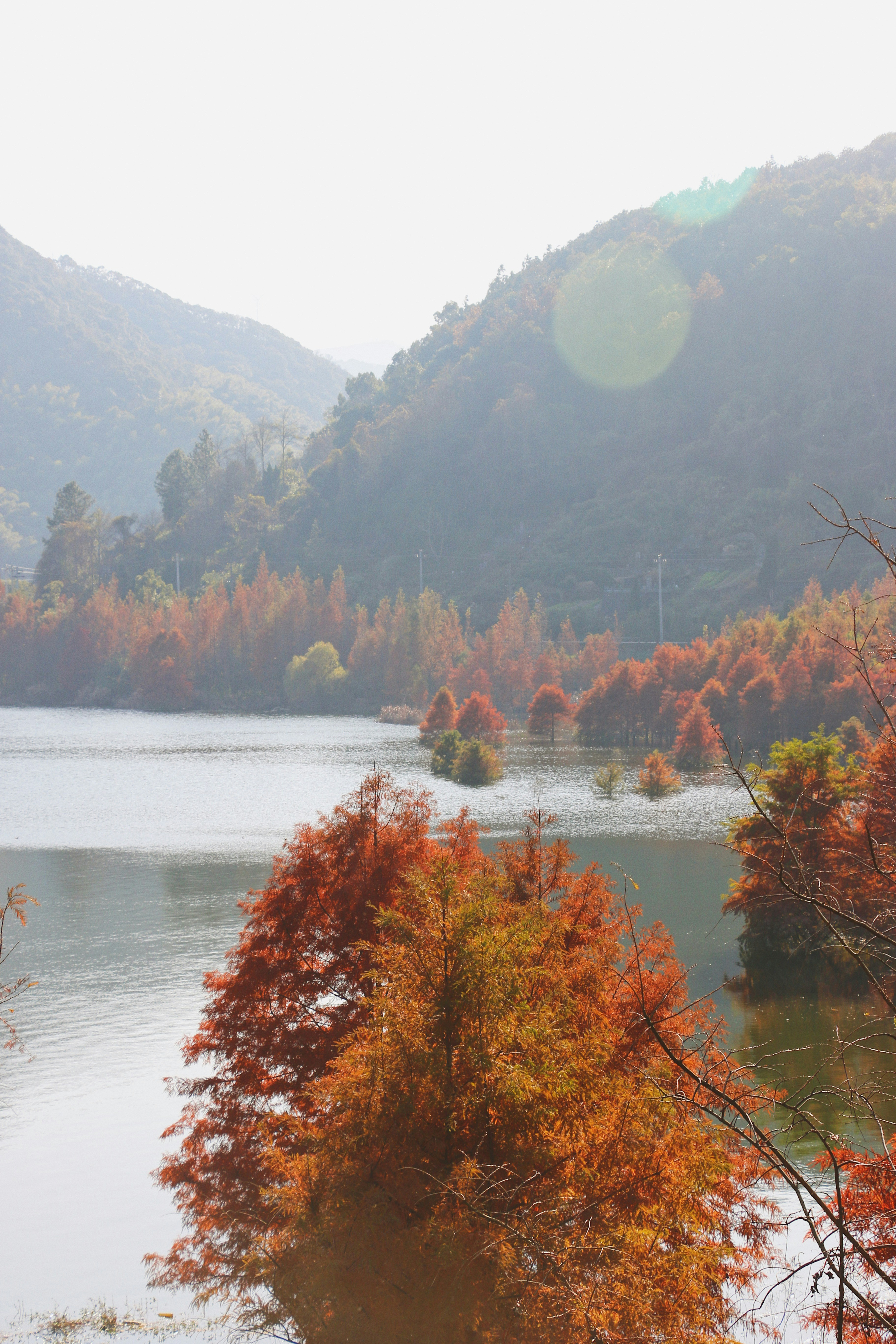 Un plan d’eau entouré de montagnes et d’arbres photo – Photo Nature ...