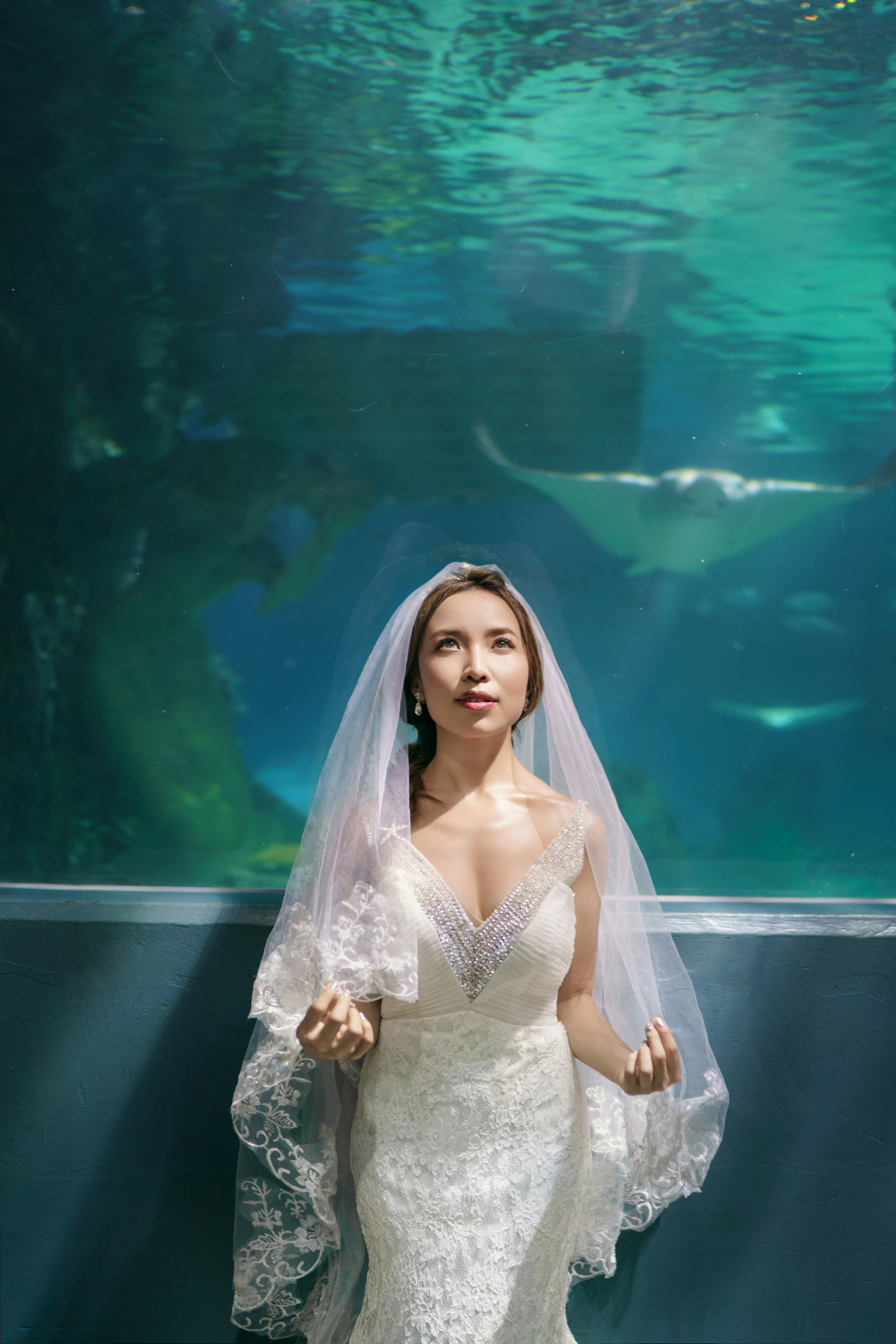 Veiled in Blue: A Bridal Portrait Beneath Aquarium Glass