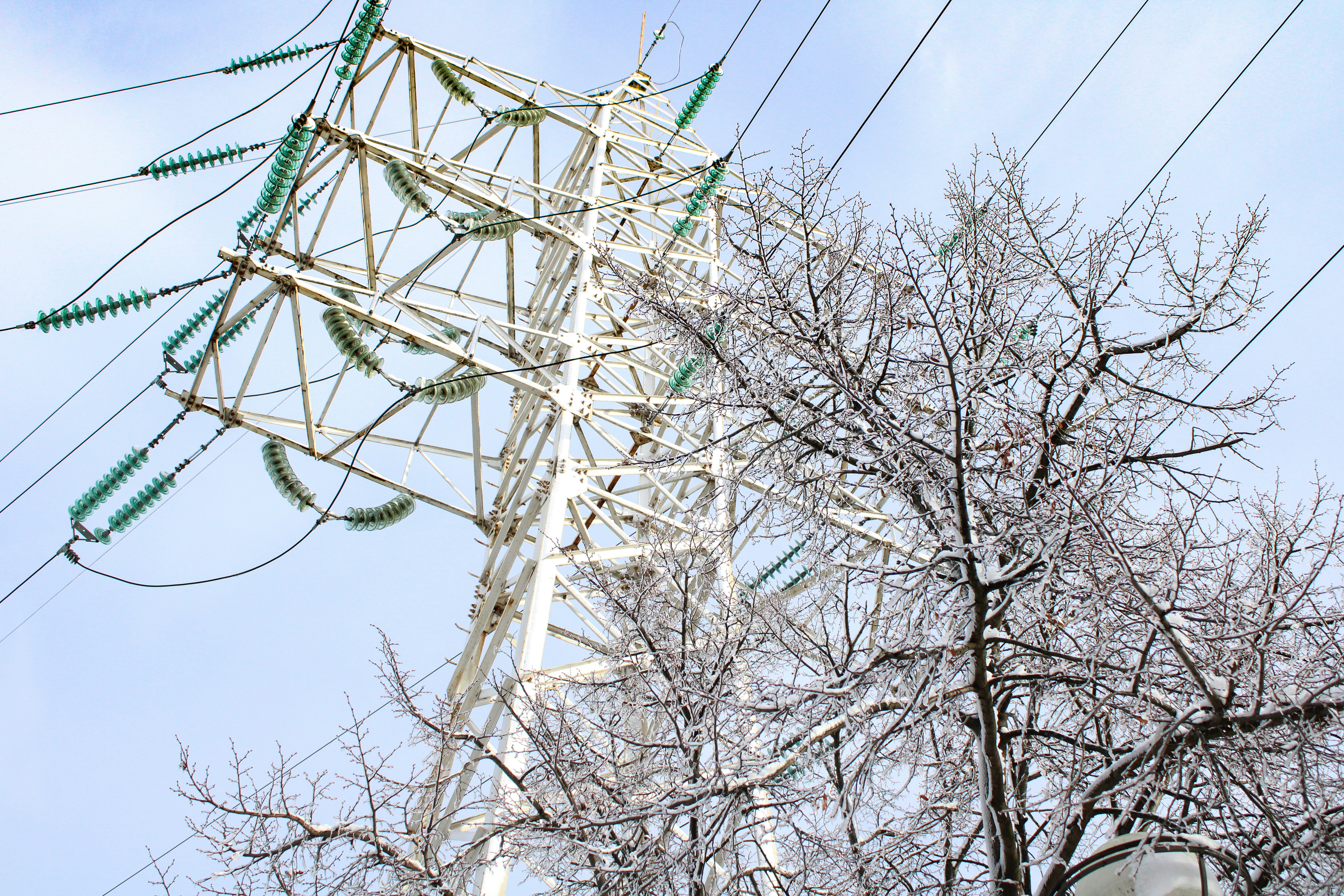 Snowy power frame under a pale winter sky