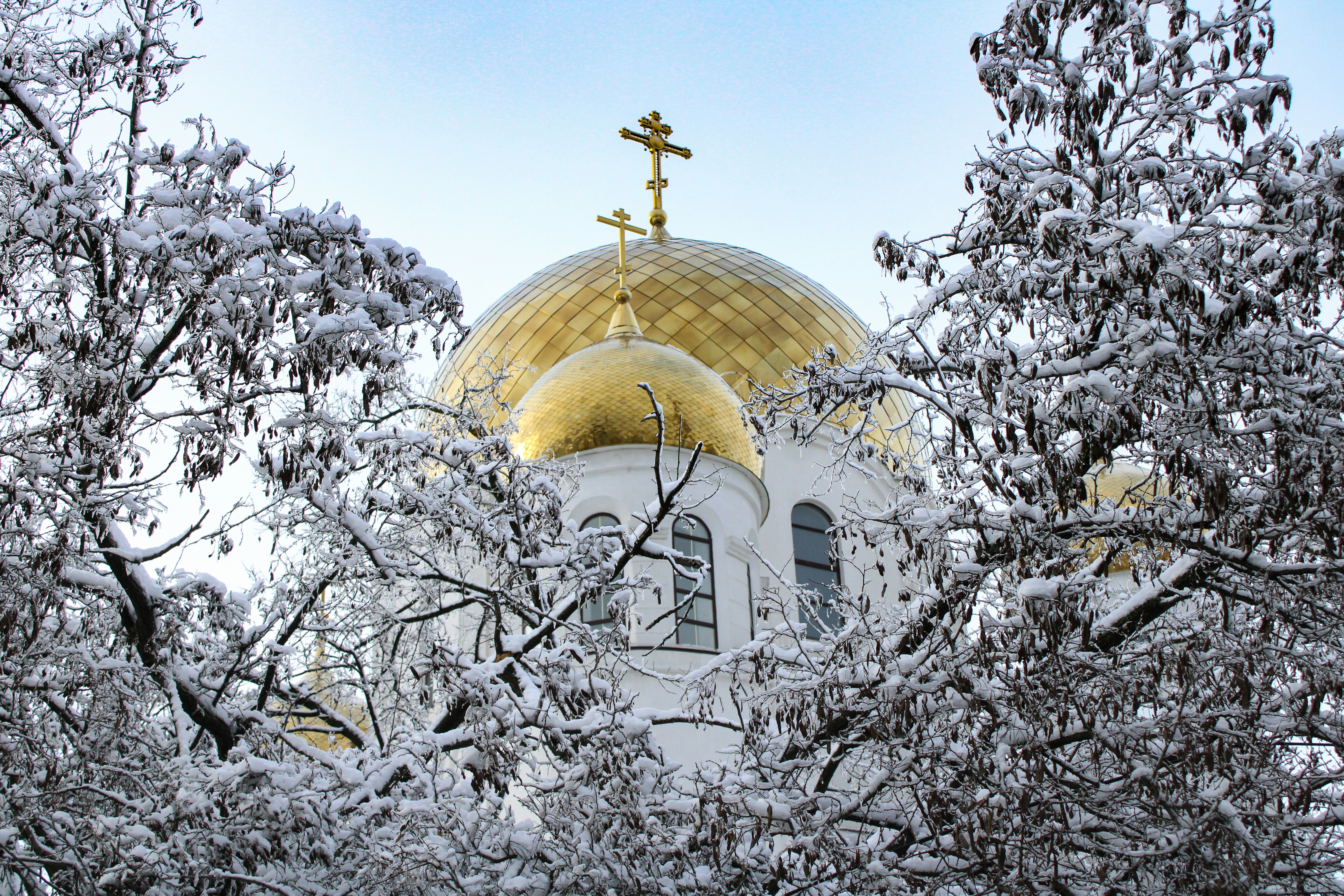 Golden Onion Dome Rising Through a Snowbound Forest