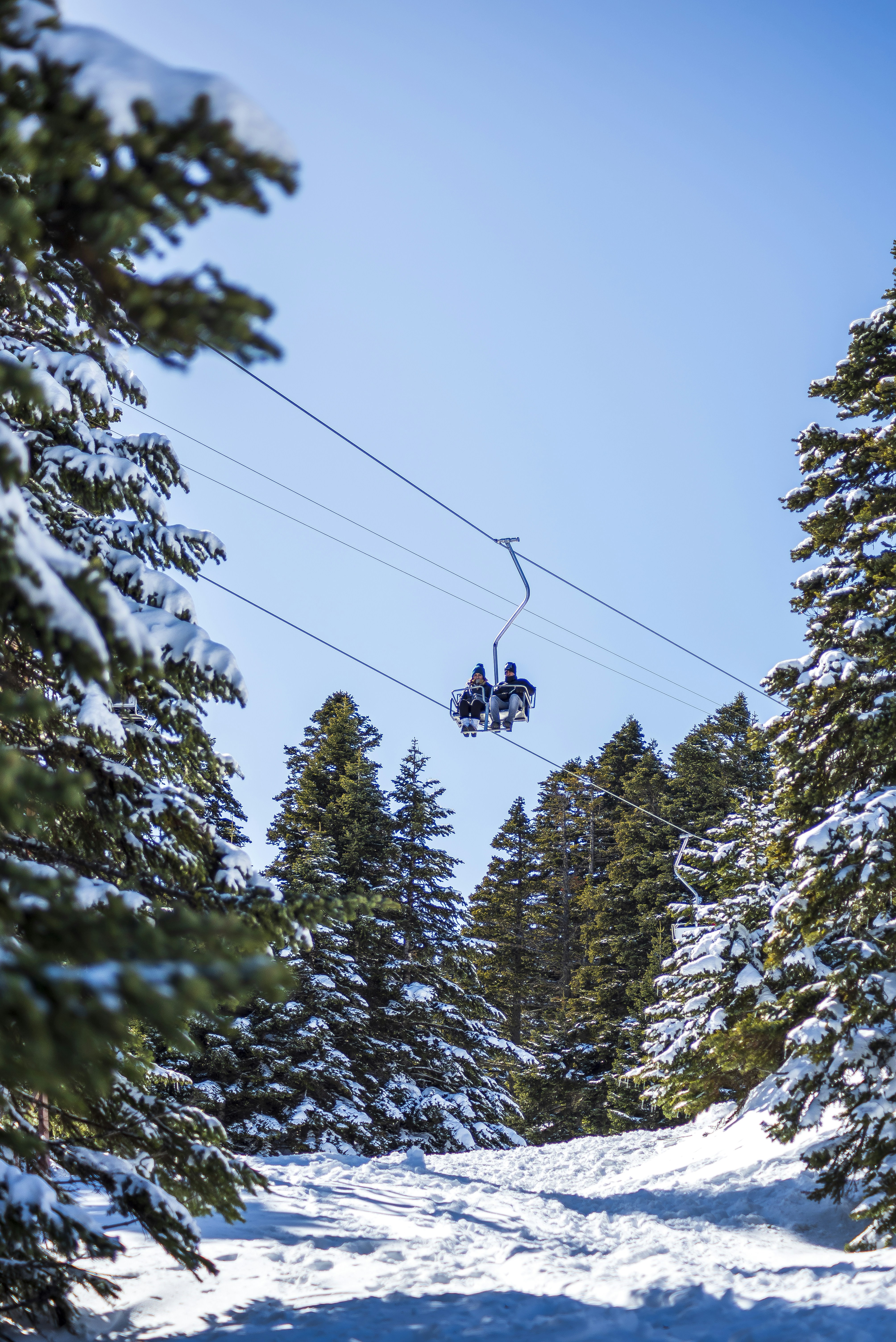 Skiers on a chairlift glide above a snow-covered path flanked by tall evergreen trees. A clear blue sky provides a perfect backdrop.