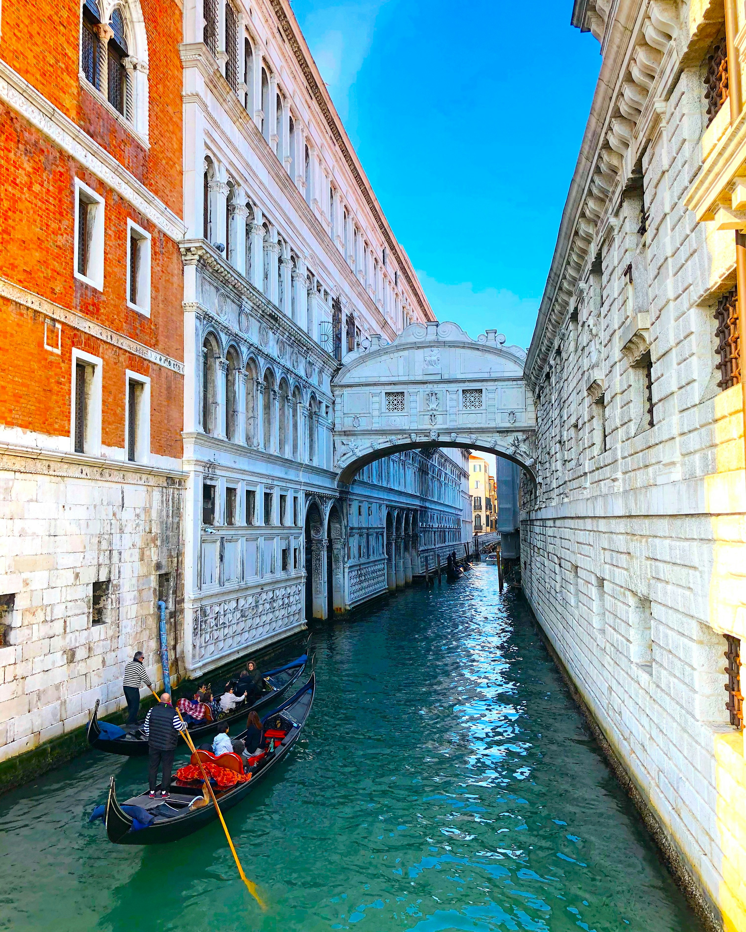 Gondolas glide through the narrow canals of Venice, flanked by historic architecture under a bright blue sky.
