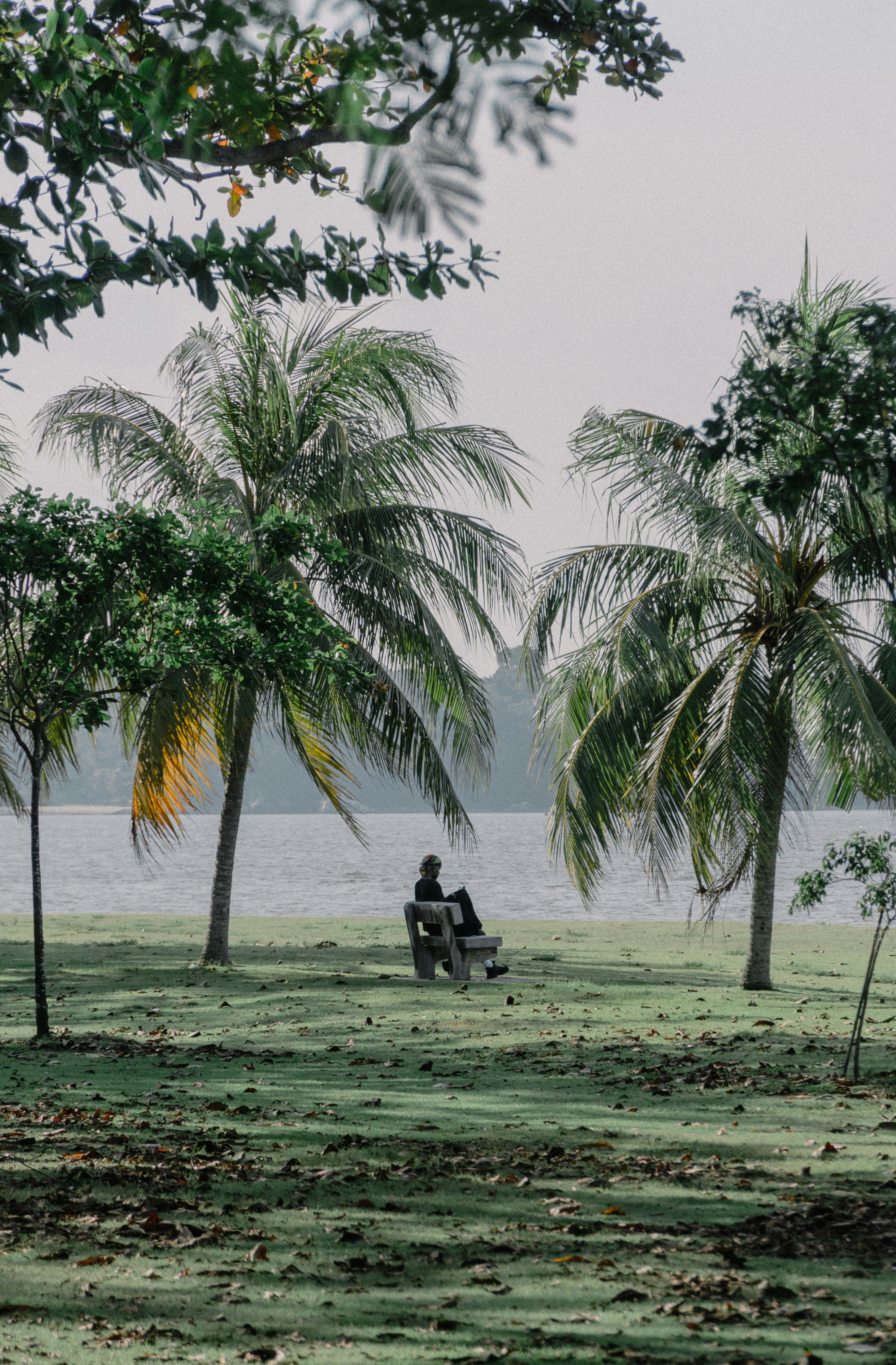 a person sitting on a bench in a park