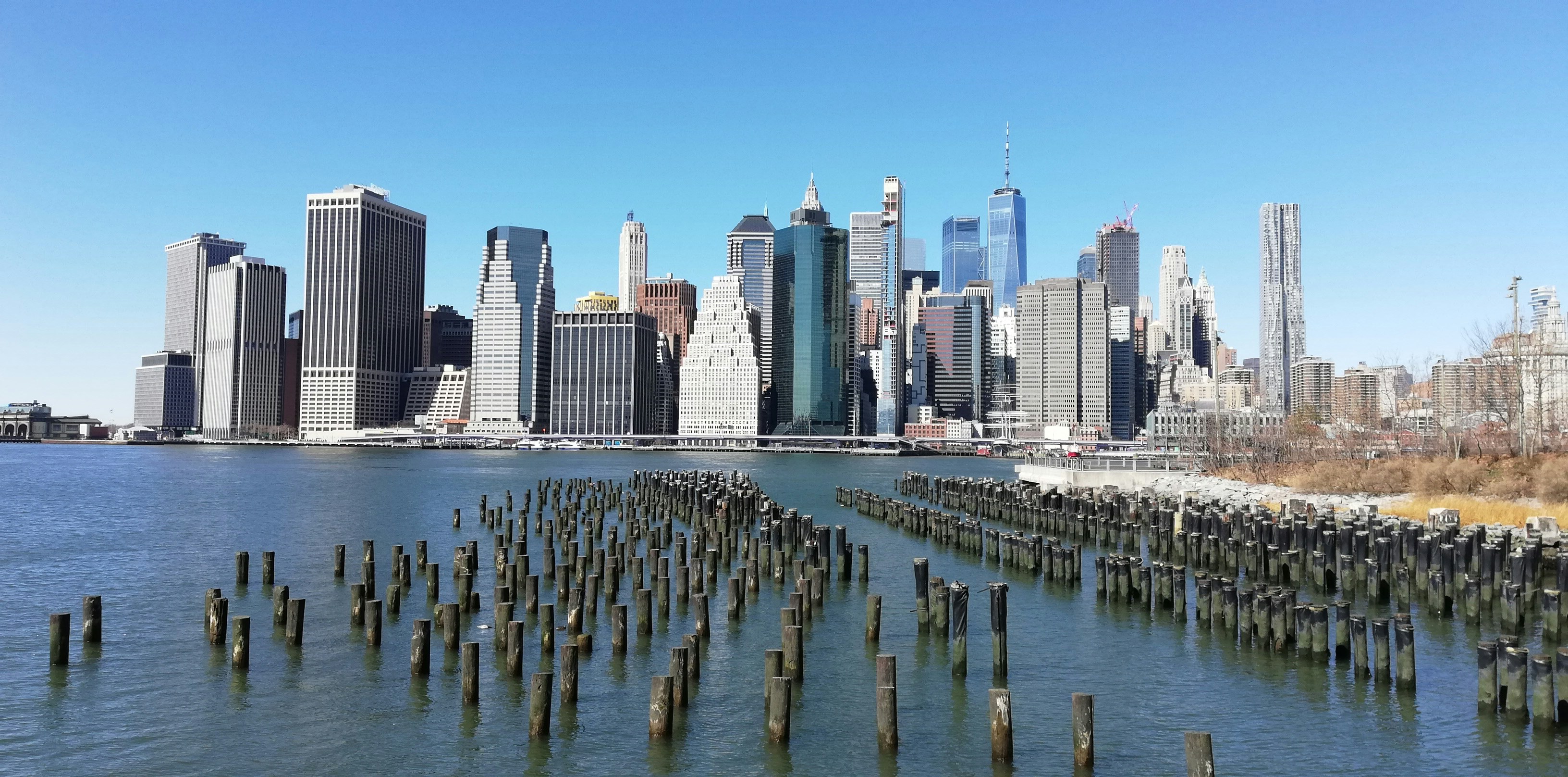 City skyline featuring a mix of modern and historic architecture against a clear blue sky, with wooden pilings in the foreground. 