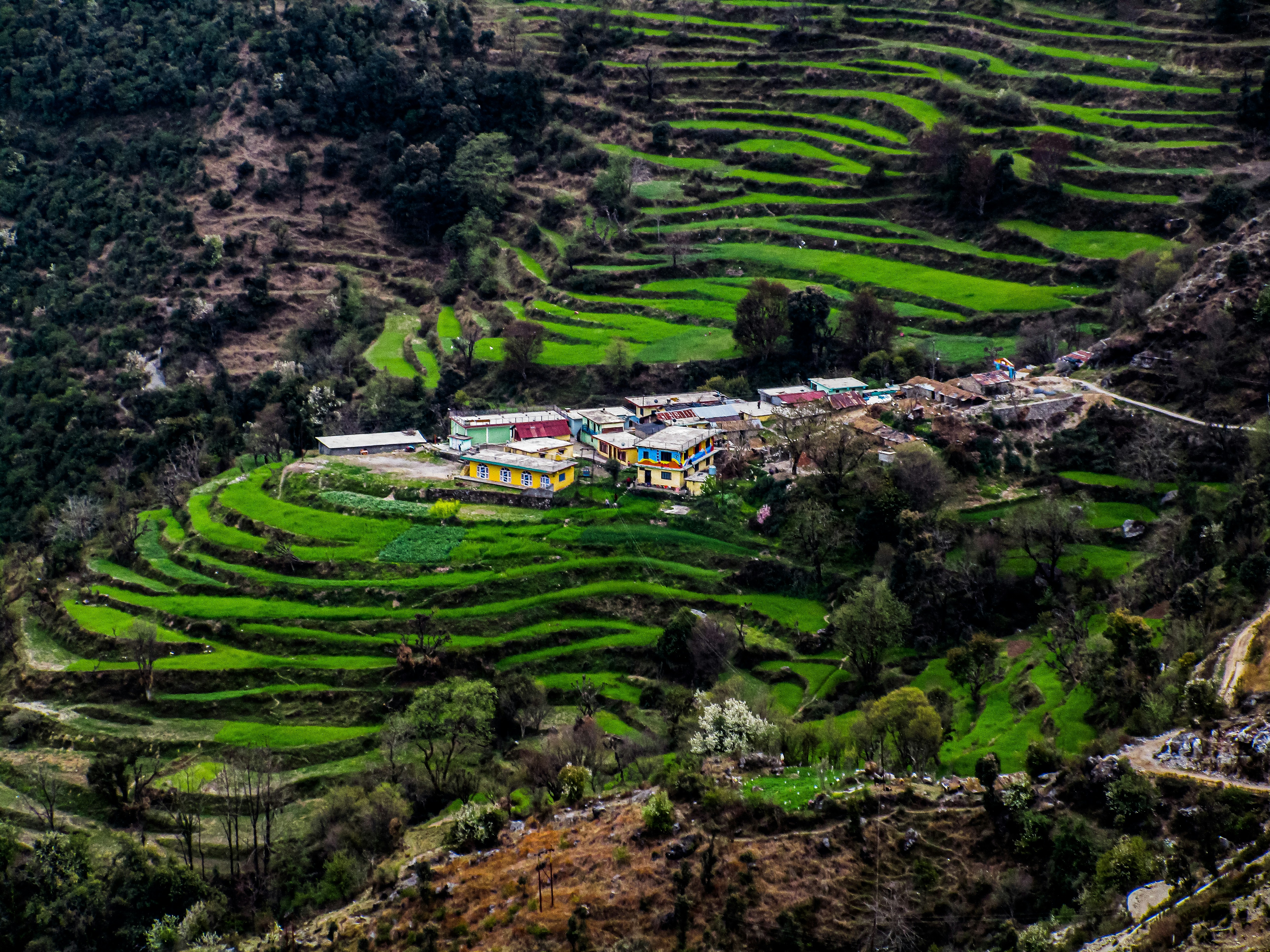 Photo by Gagan Deep Singh with Canon IXUS 170