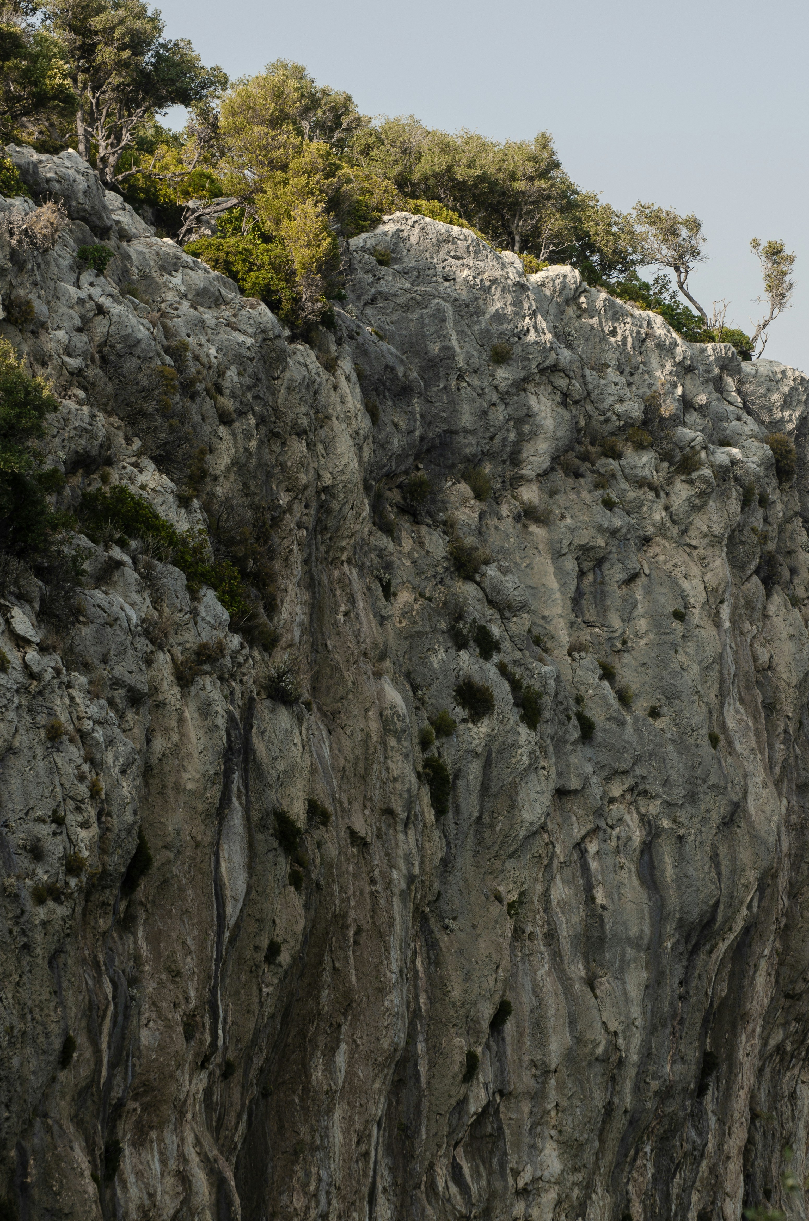 A large rock face with trees on top of it photo – Free Rock Image on ...