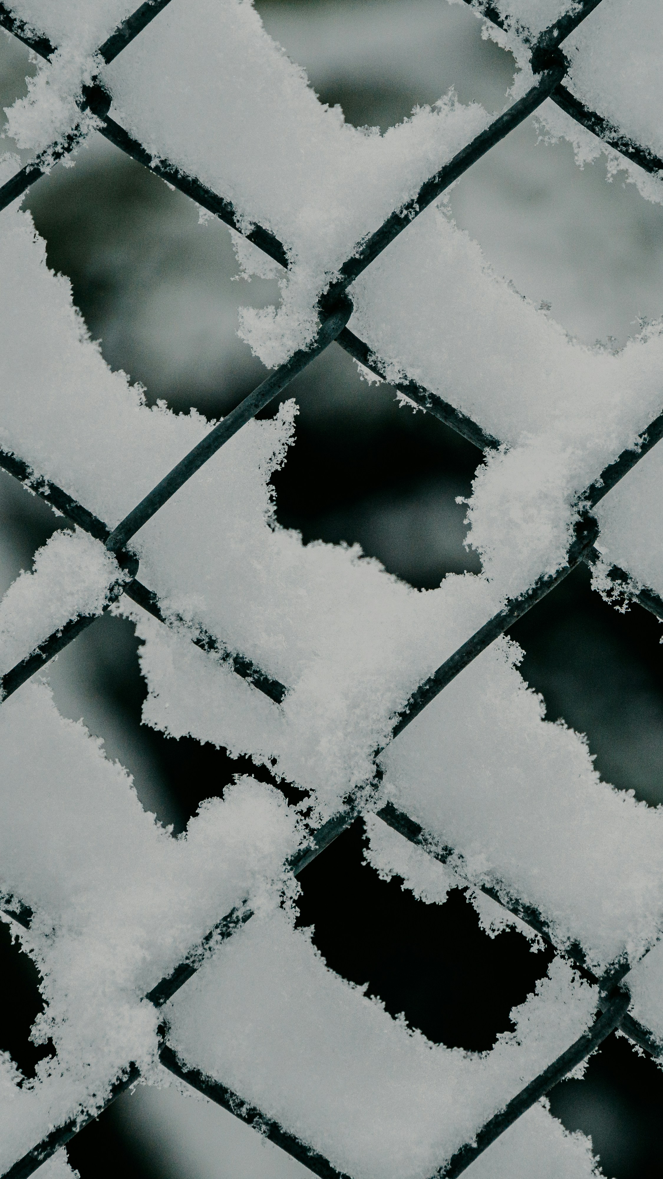 Snow-Touched Diamonds: A Quiet Chain-Link in Winter Light