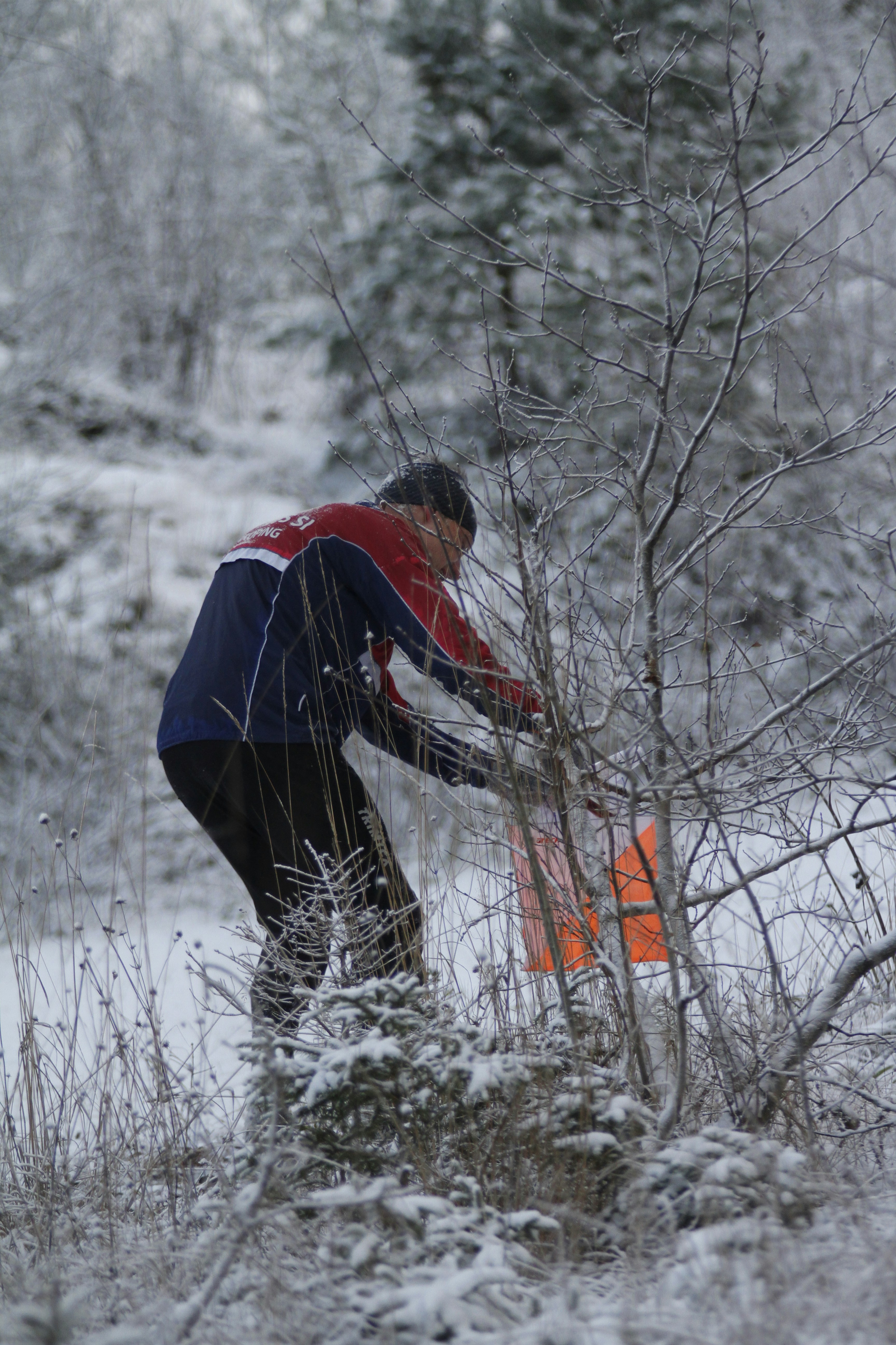 Placing a Trail Marker in a Snowbound Forest