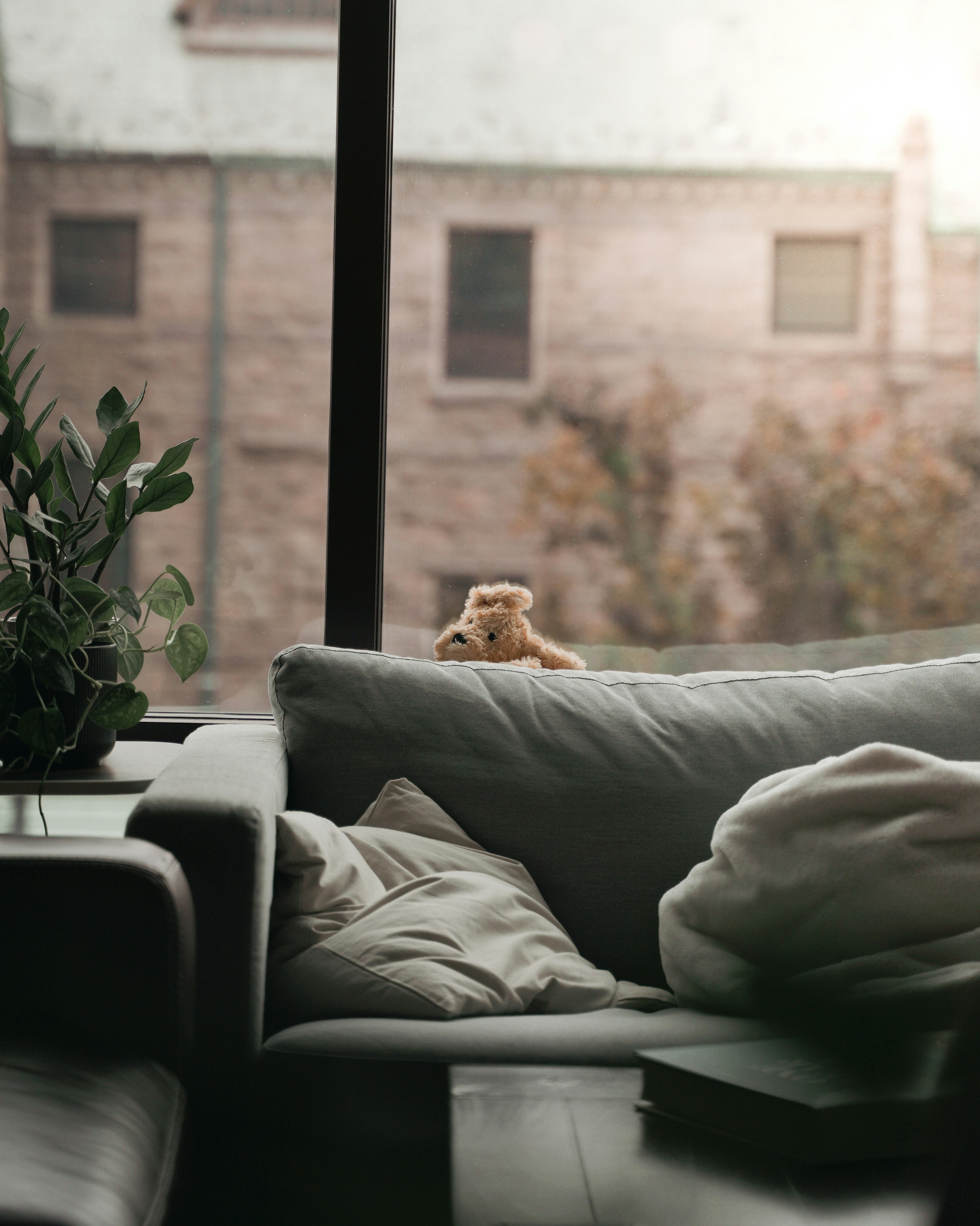 A plush sofa adorned with cushions and a small teddy bear, framed by a window showcasing a blurred outdoor scene with autumn foliage.