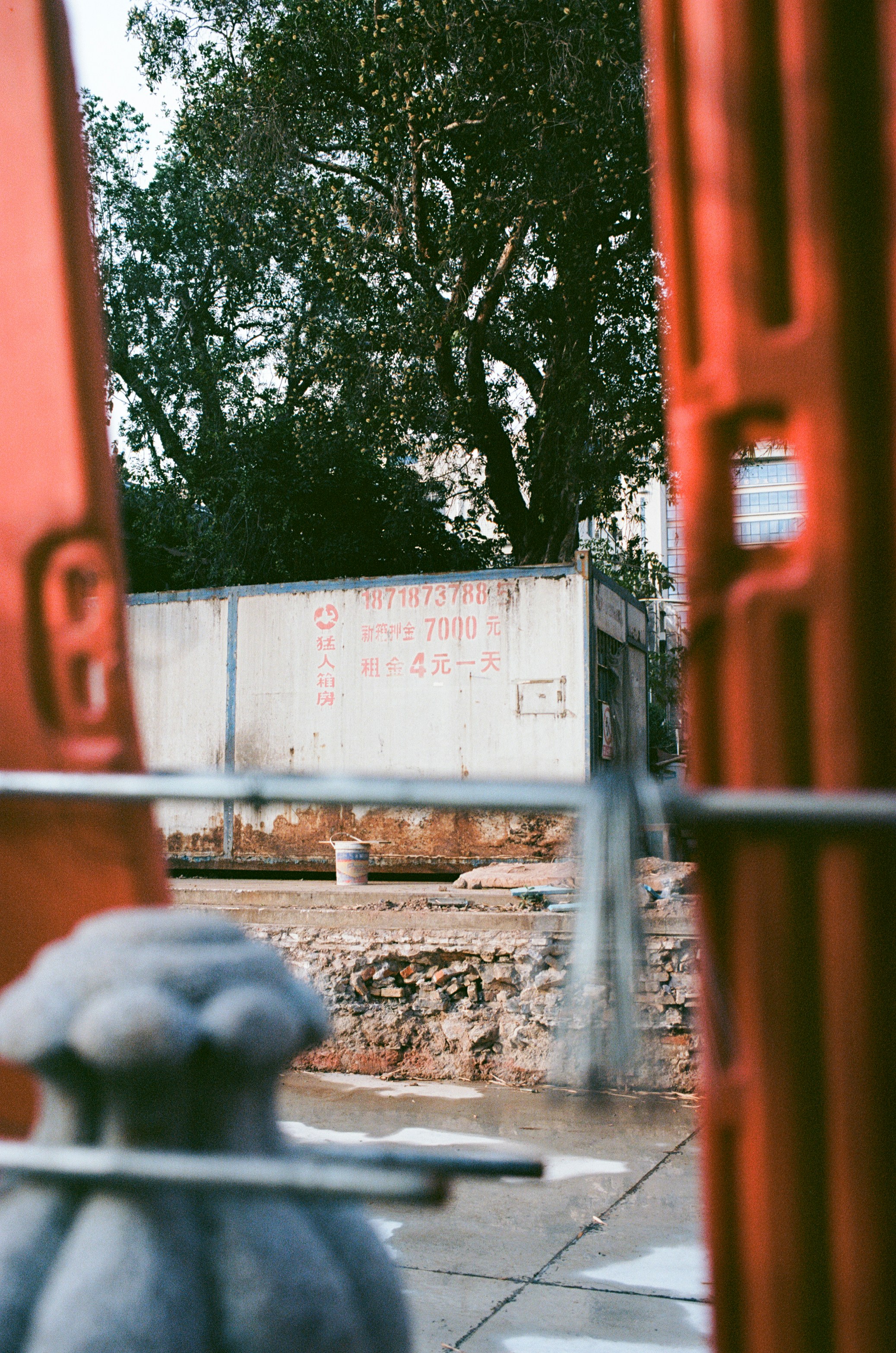 A view of a tree through a window photo – Free Guangzhou Image on Unsplash