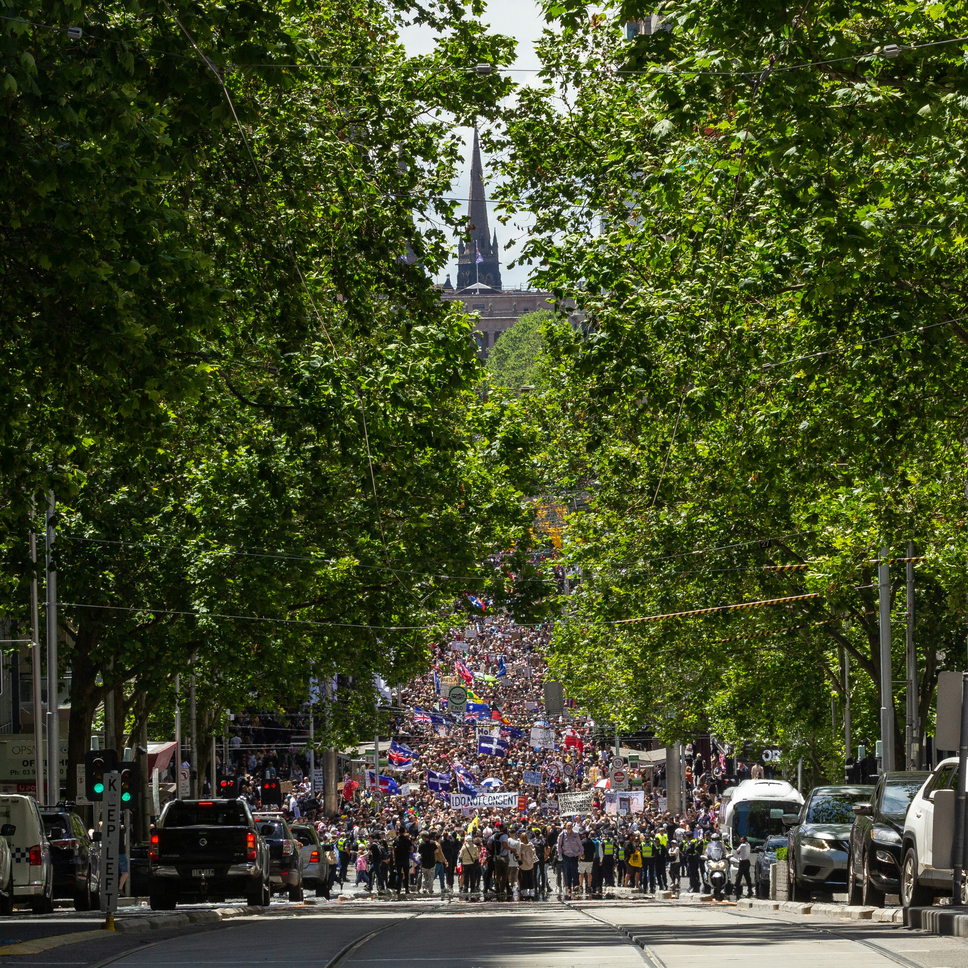 Crowd Rally Framed by City Trees with Spire Peeking Through