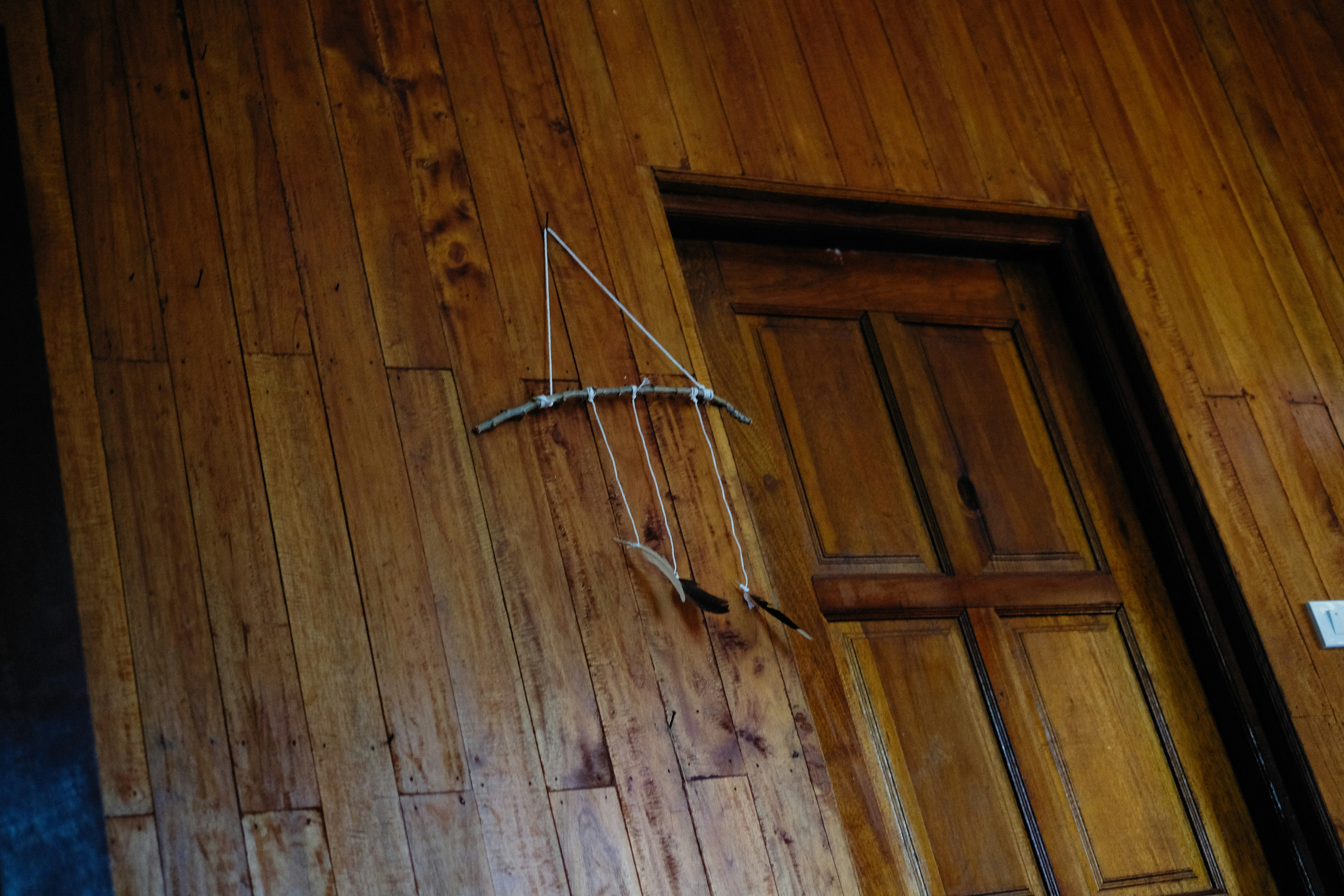 Tangled Whispers on a Wooden Doorway