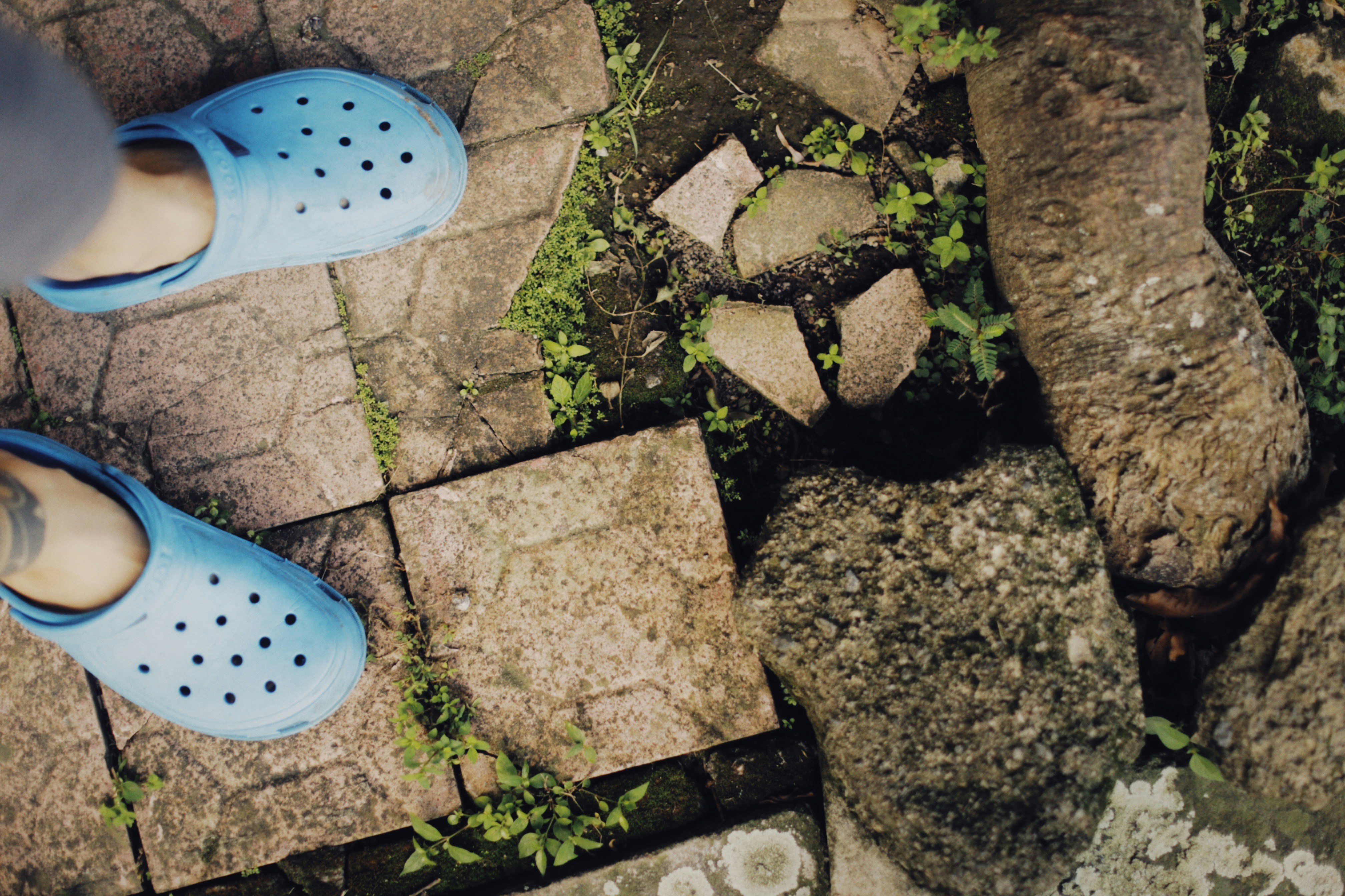 Blue Footsteps: A Ground-Level Walk Through Mossy Stone Steps