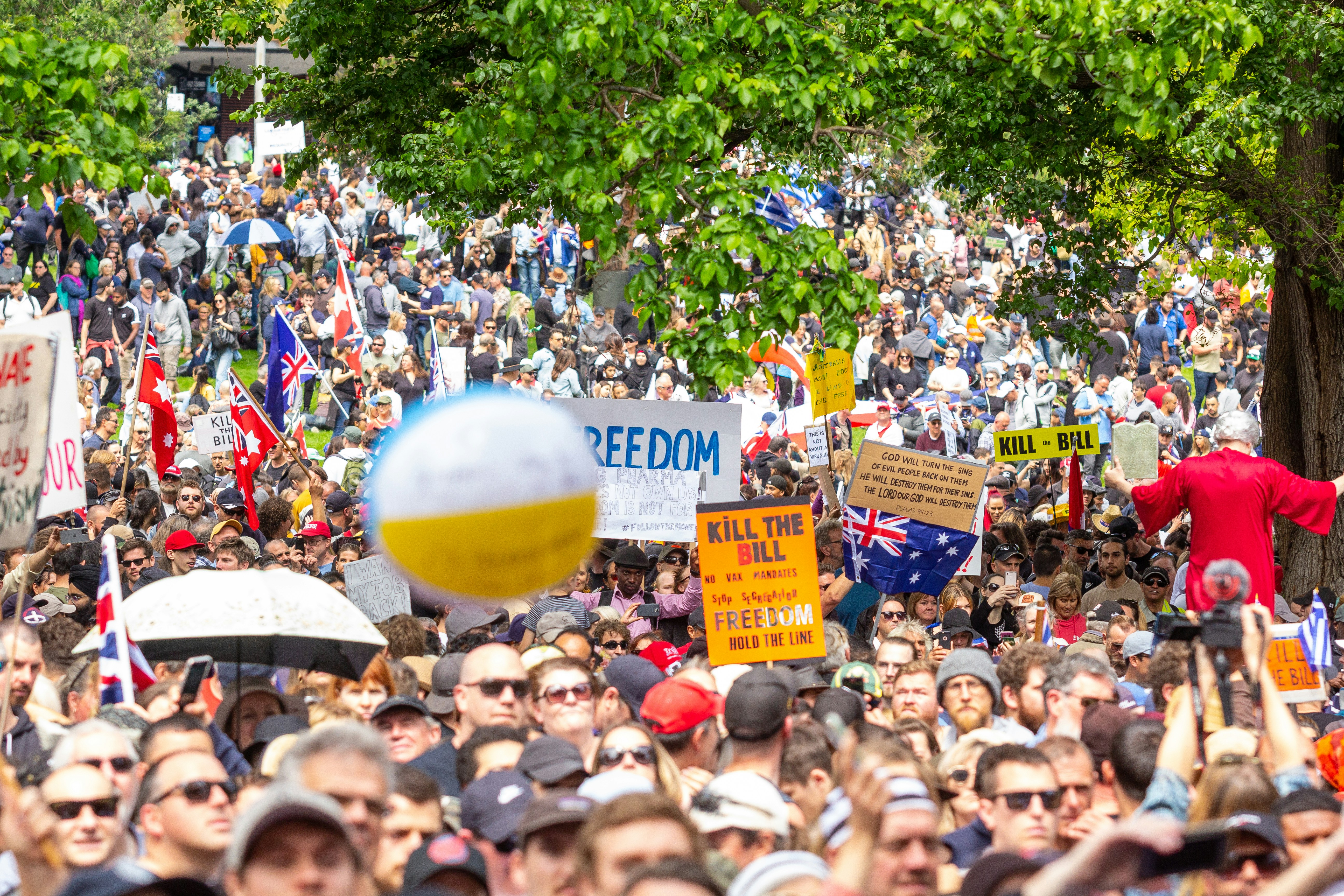 A large crowd of people holding signs and flags photo – Free Australia ...