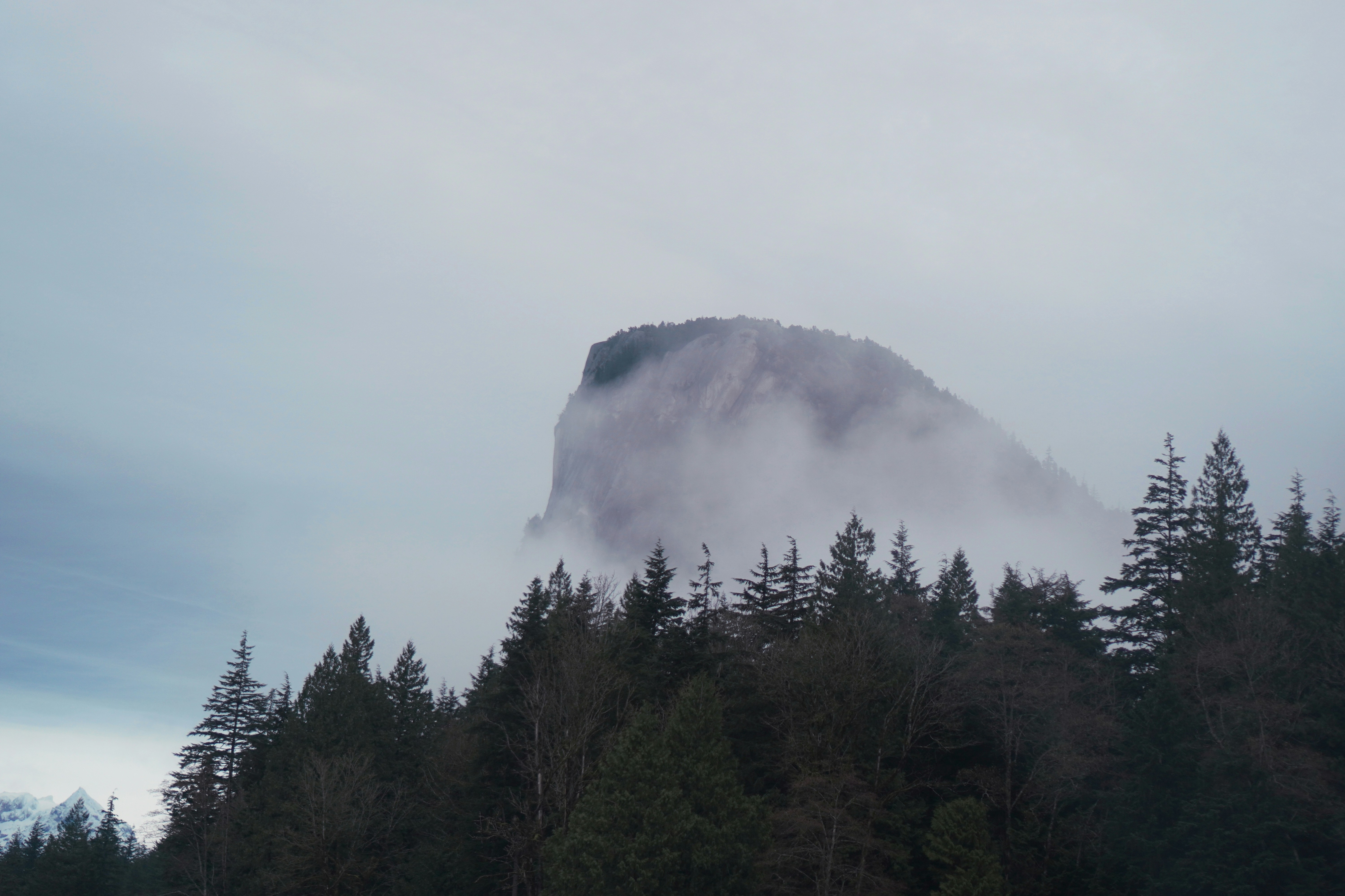 A towering mountain peak shrouded in mist, rising above a dense forest. The scene evokes a sense of mystery and tranquility.