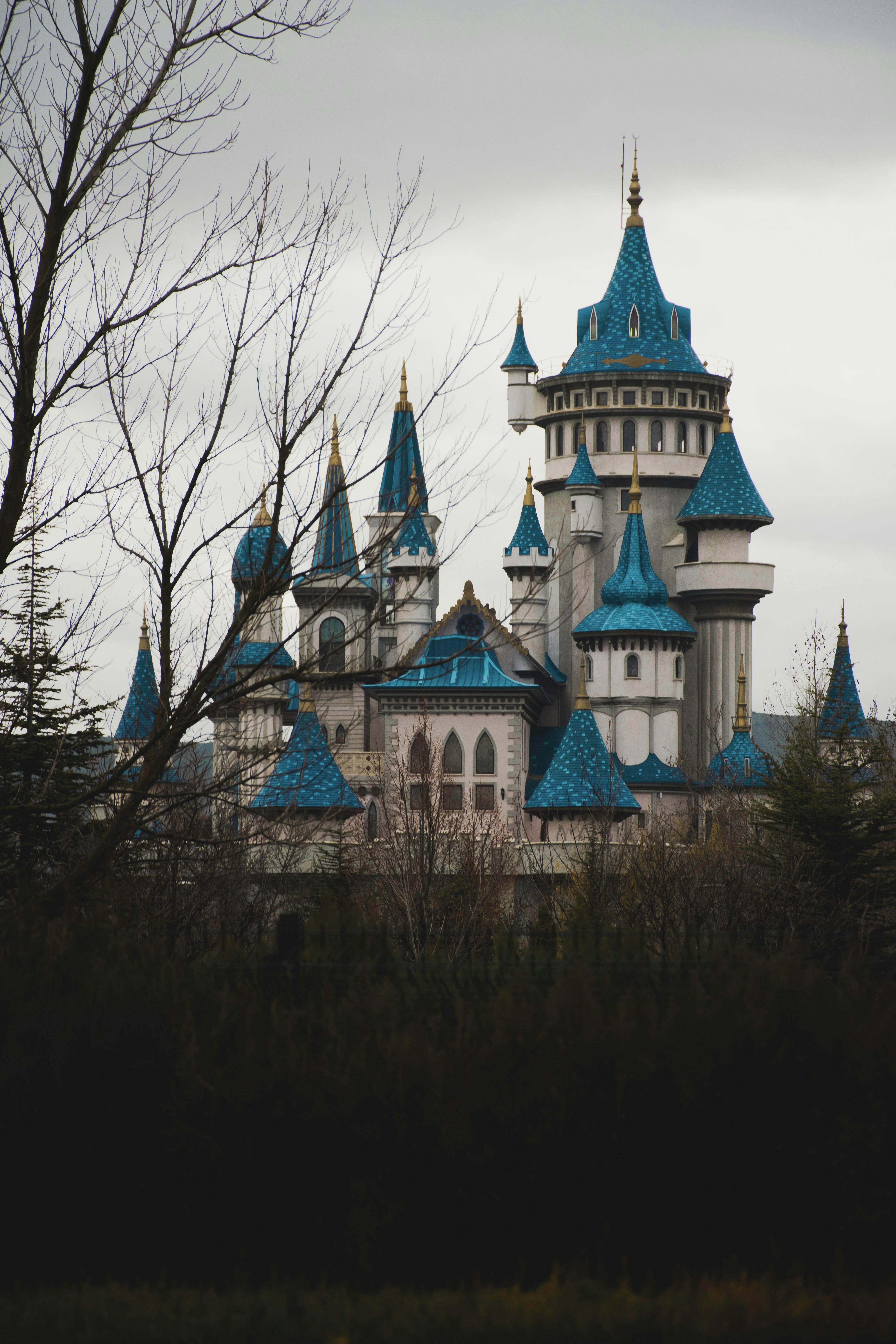 Azure-Topped Castle Peeking Through Winter Bare Trees