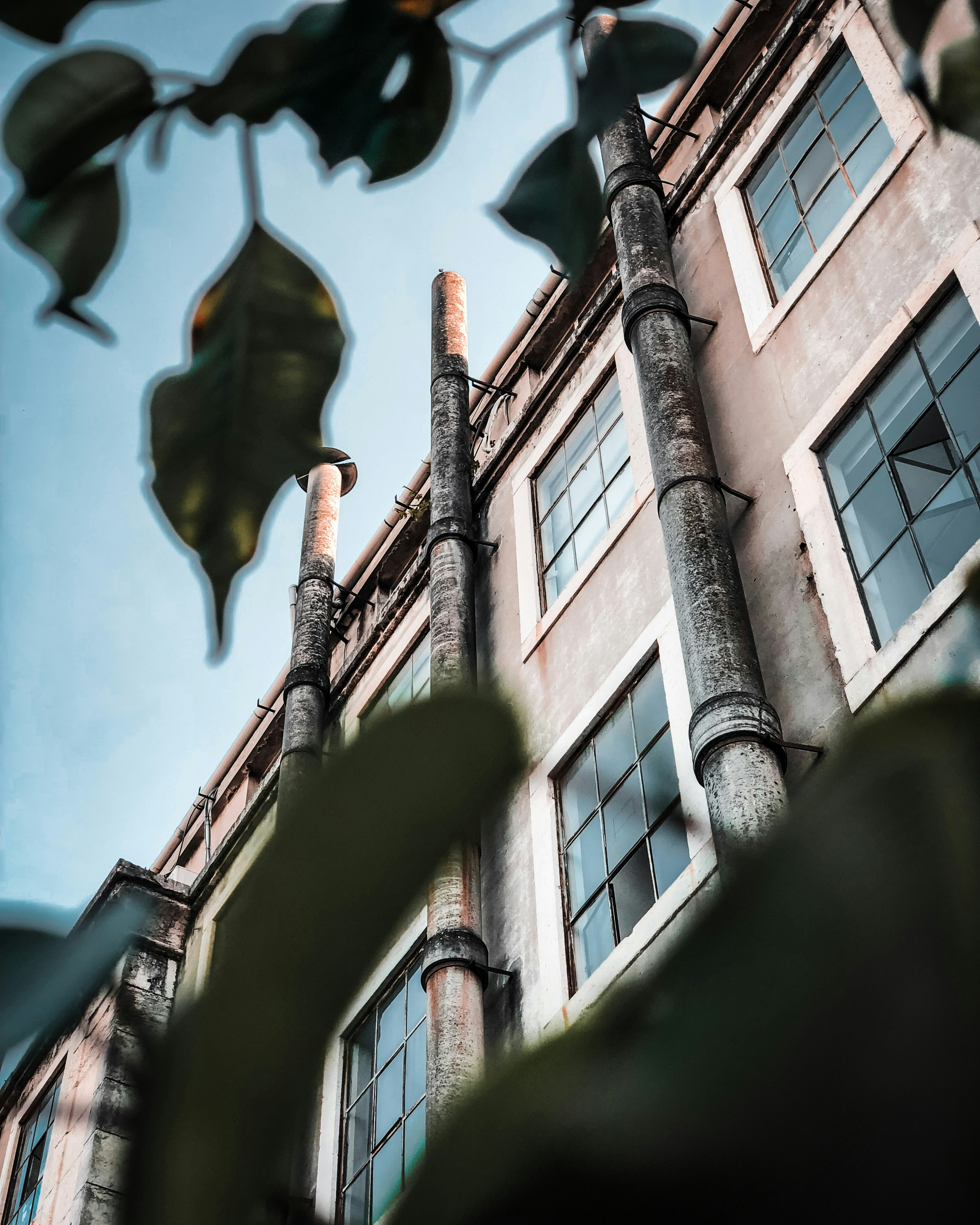 Weathered industrial building framed by lush green foliage, showcasing a blend of nature and urban architecture.