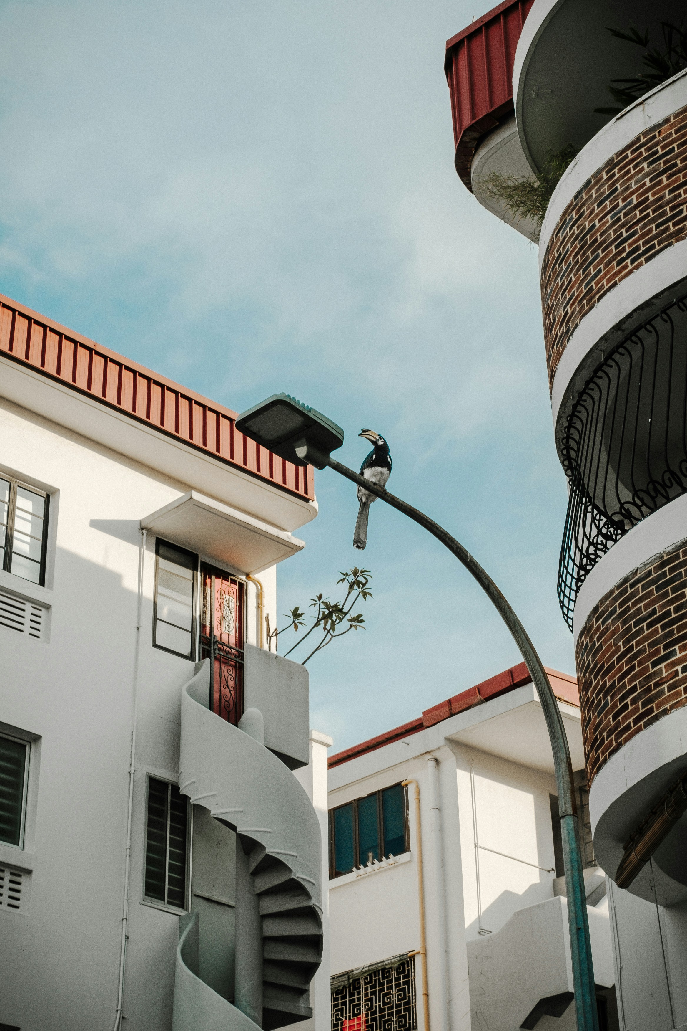 A spiral staircase leads up the side of a white building, while a streetlamp stands adorned with greenery against a soft blue sky.