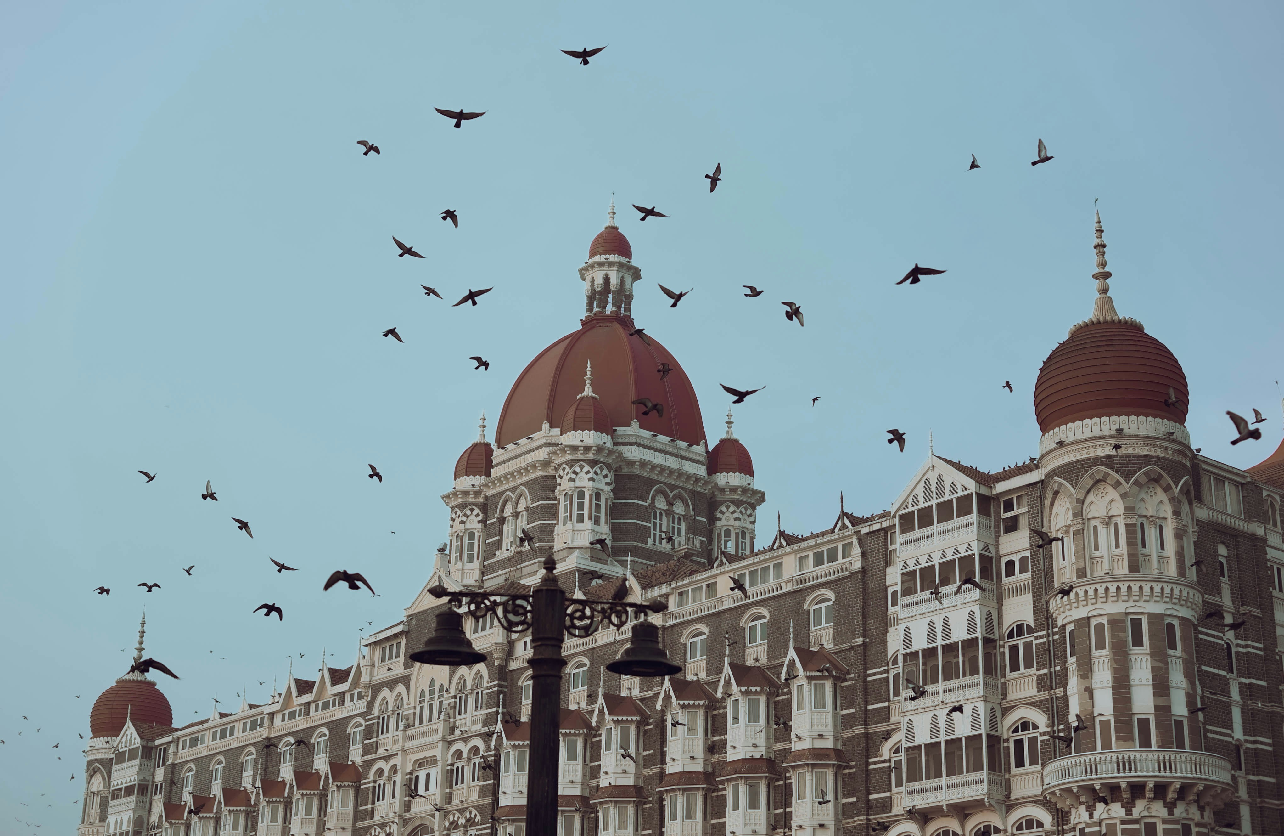 Flock of birds soaring over a grand building with distinctive domes against a clear sky.