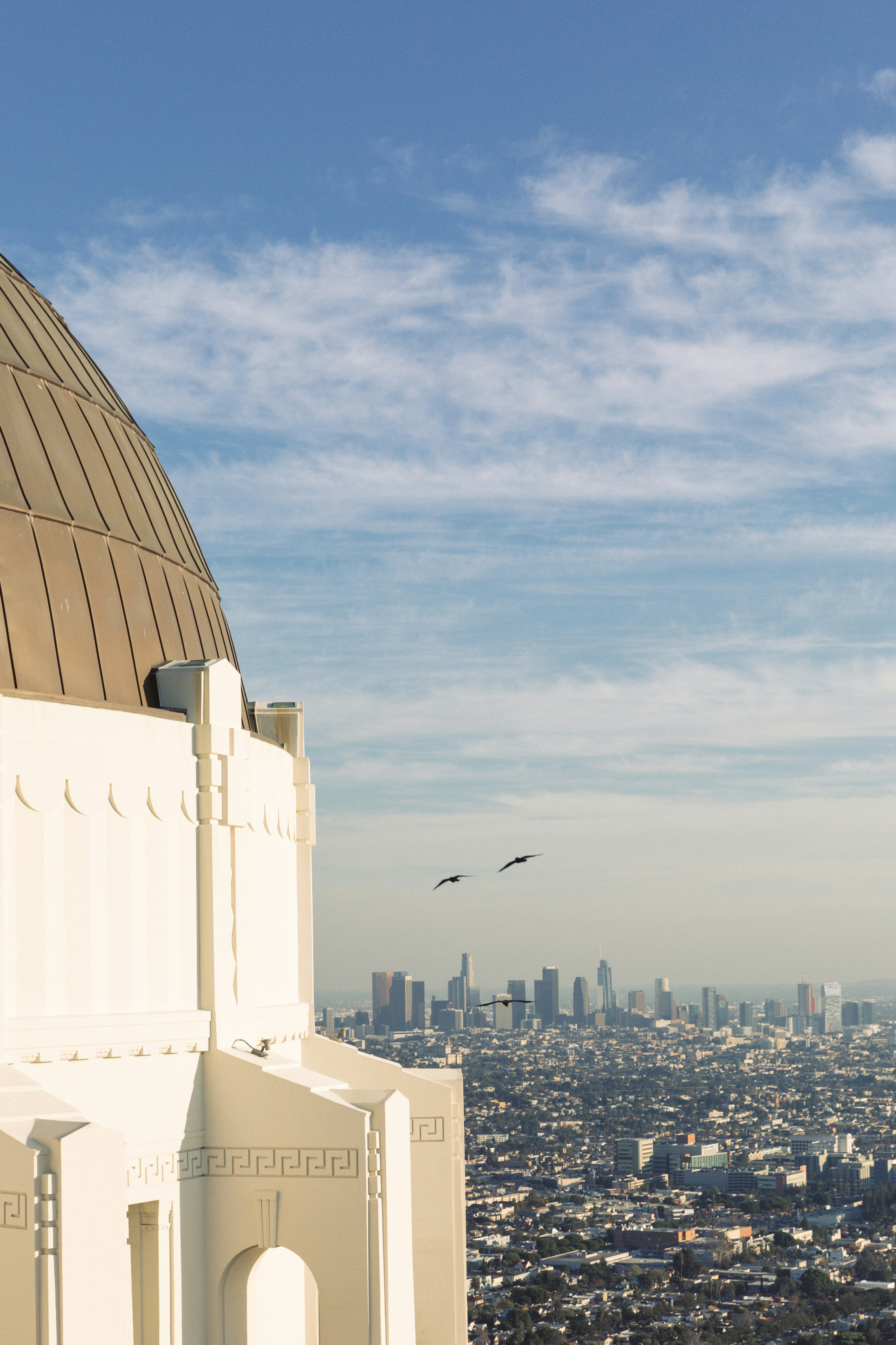 Griffith Observatory's iconic dome with a backdrop of Los Angeles skyline and two birds in flight. The scene captures the blend of architecture and urban landscape.