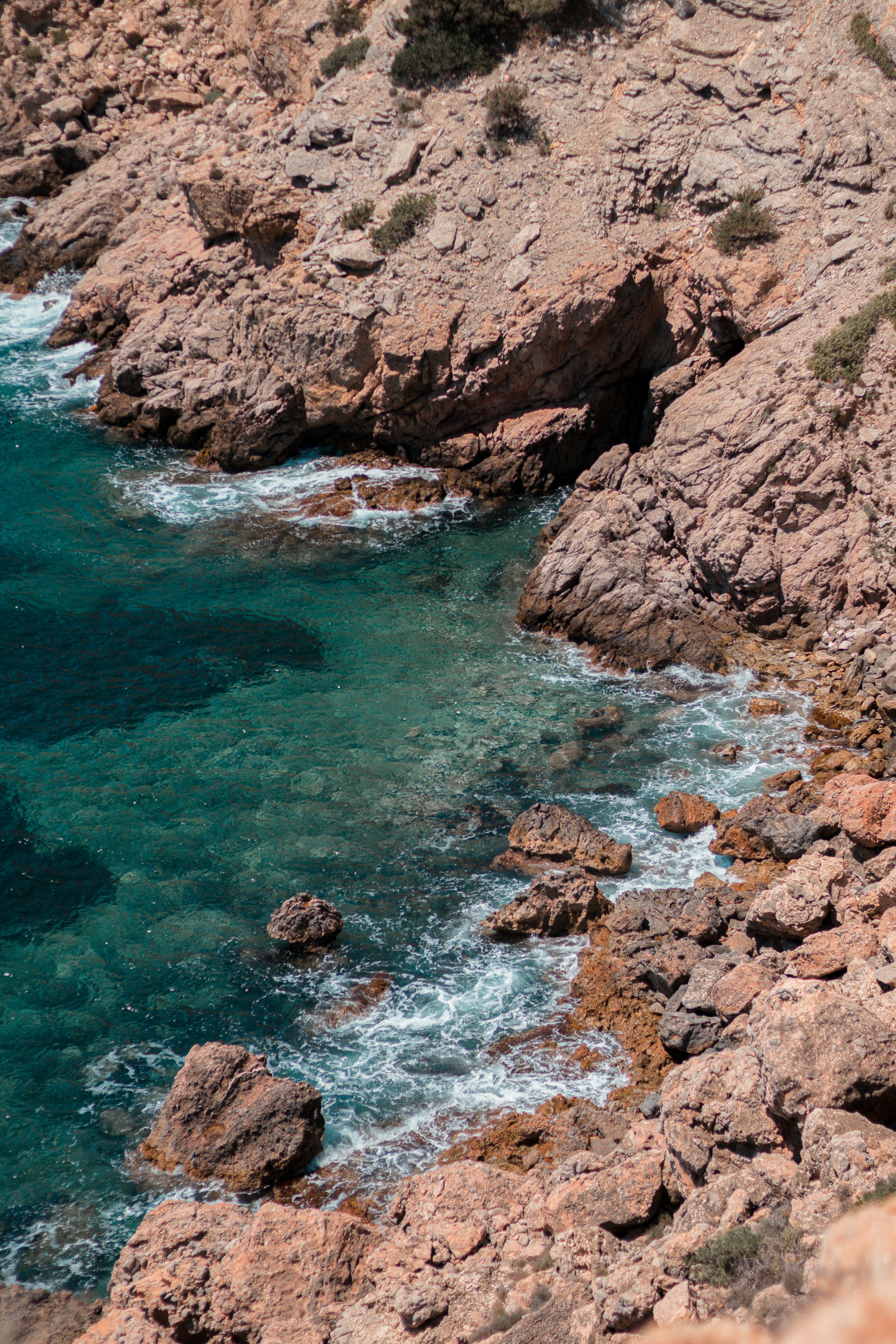 Un oiseau assis au sommet d’une falaise rocheuse à côté de l’océan ...