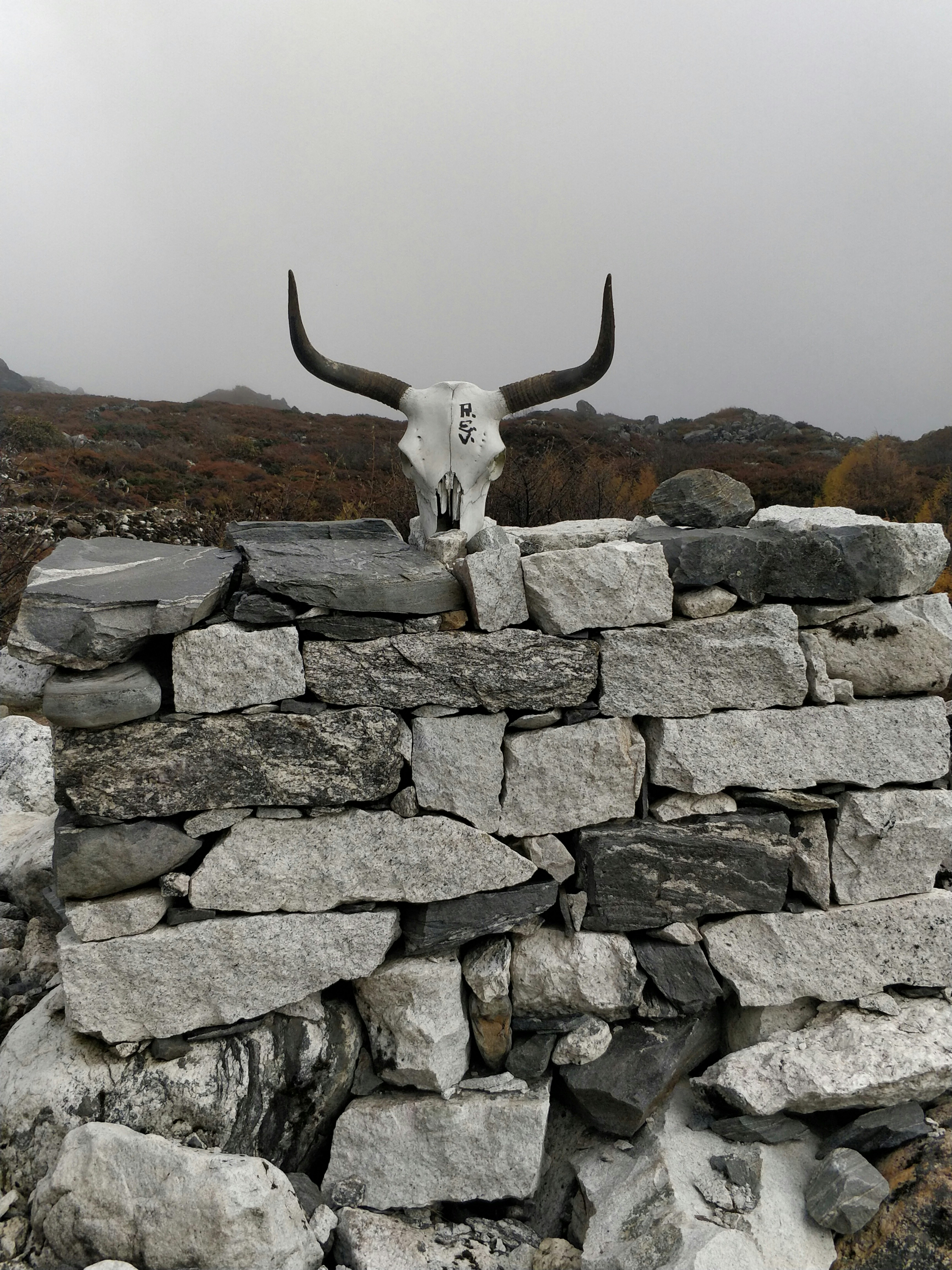 Silent Guardian of the Mountain Path