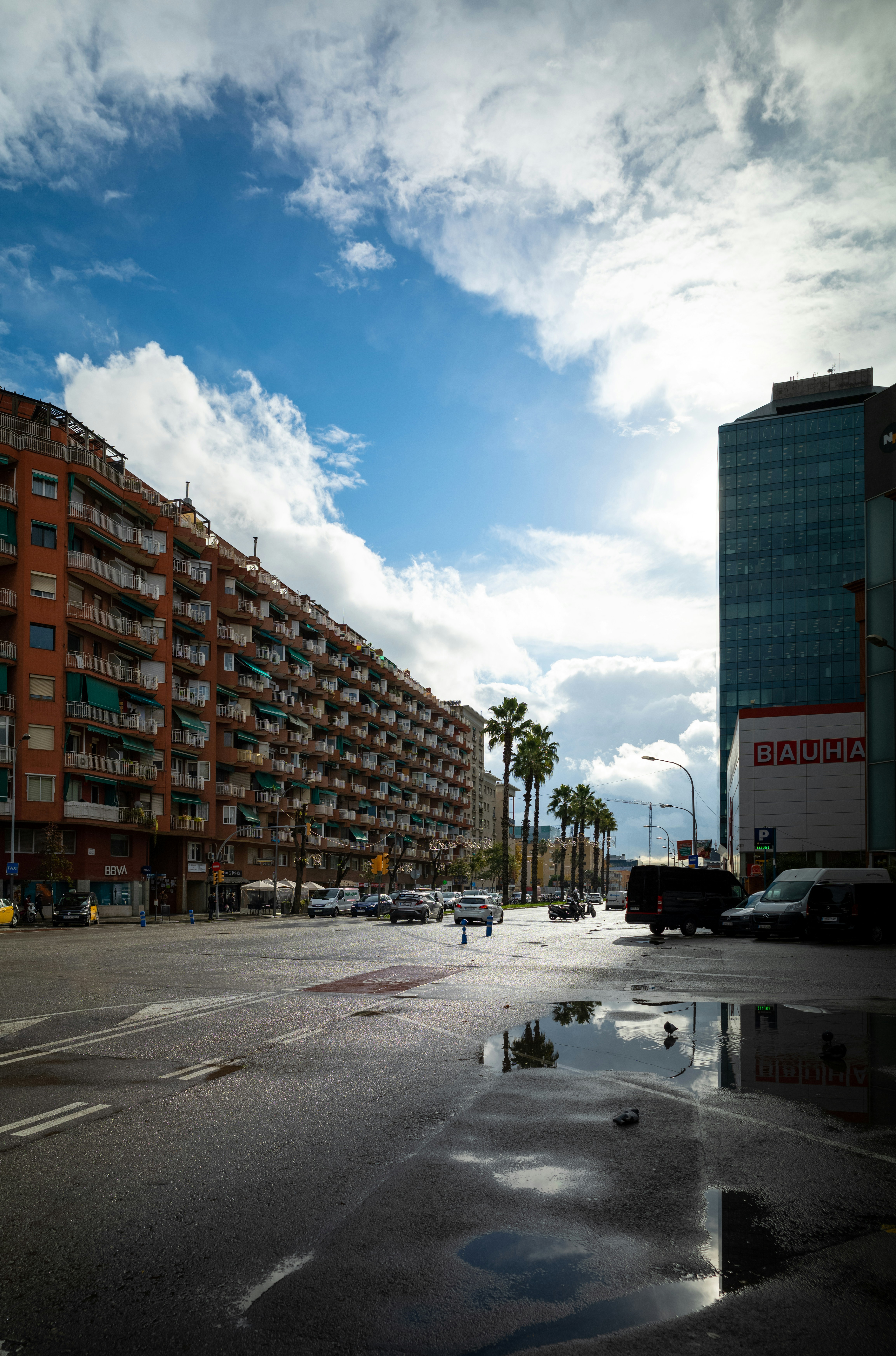 City street scene featuring a mix of modern and residential buildings, with palm trees lining the road and reflections in puddles after rain.