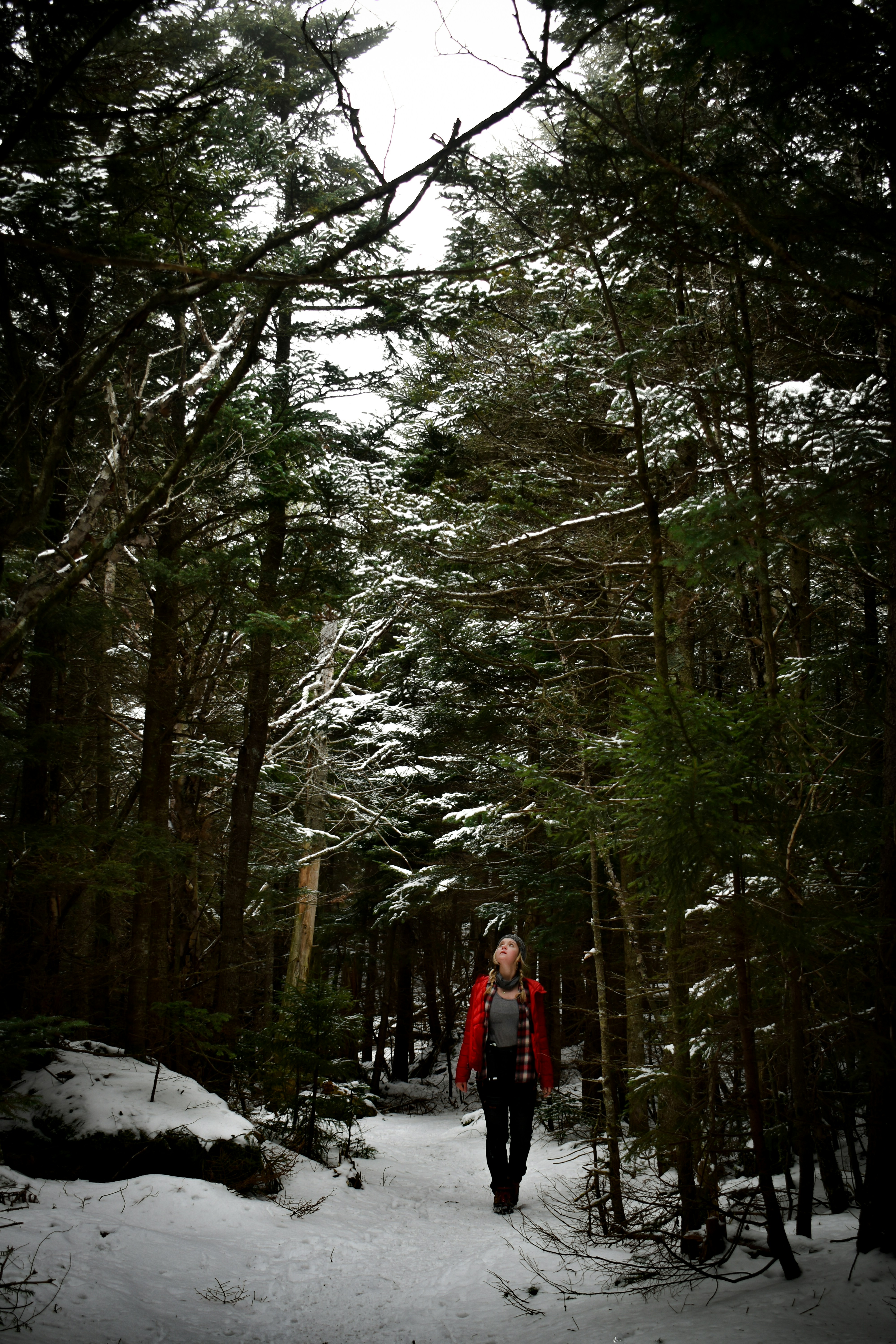 Snowy Forest Pathway: A lone hiker in a red parka