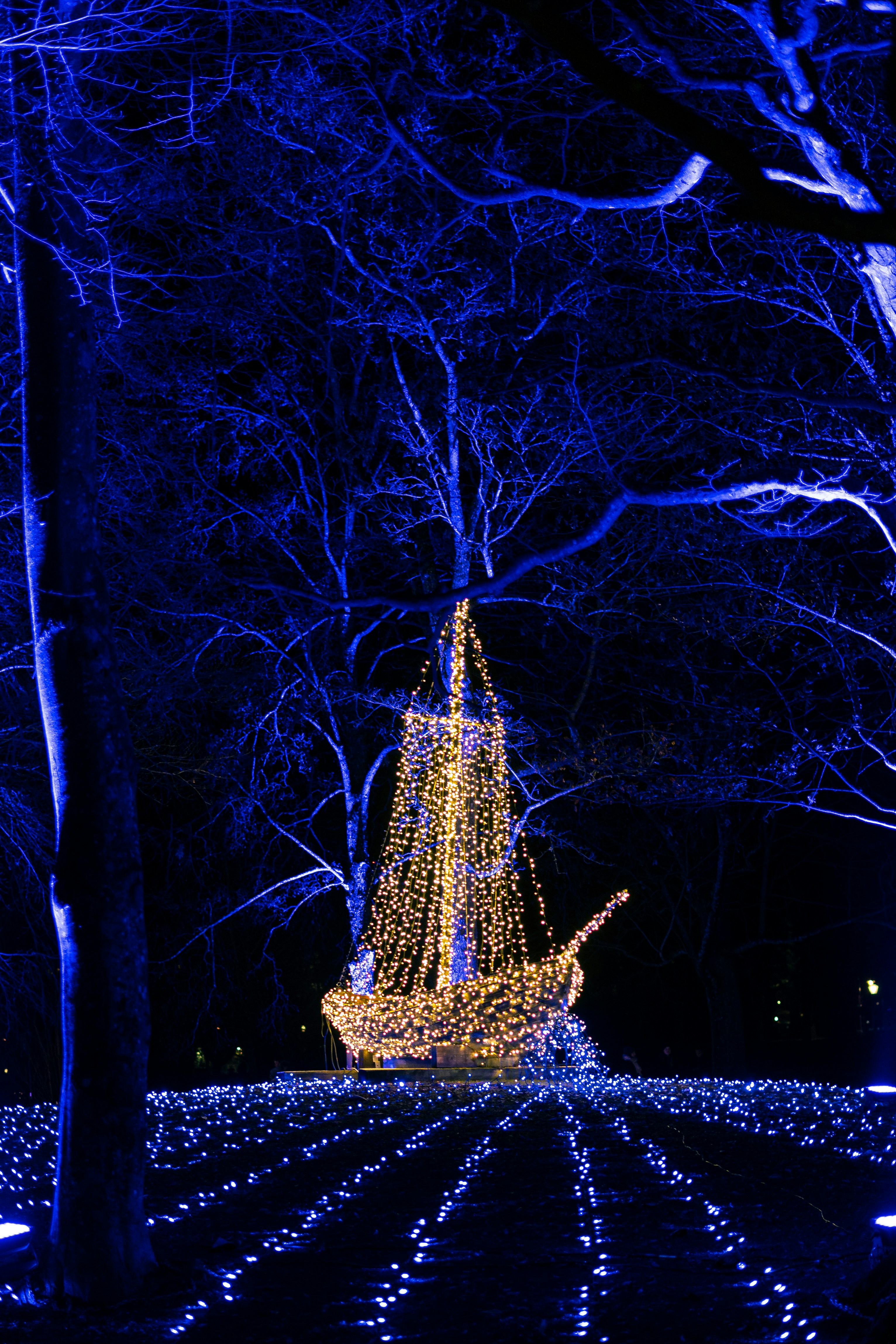 Vertical Tree of Lights: A Quiet Night in a Glowing Orchard
