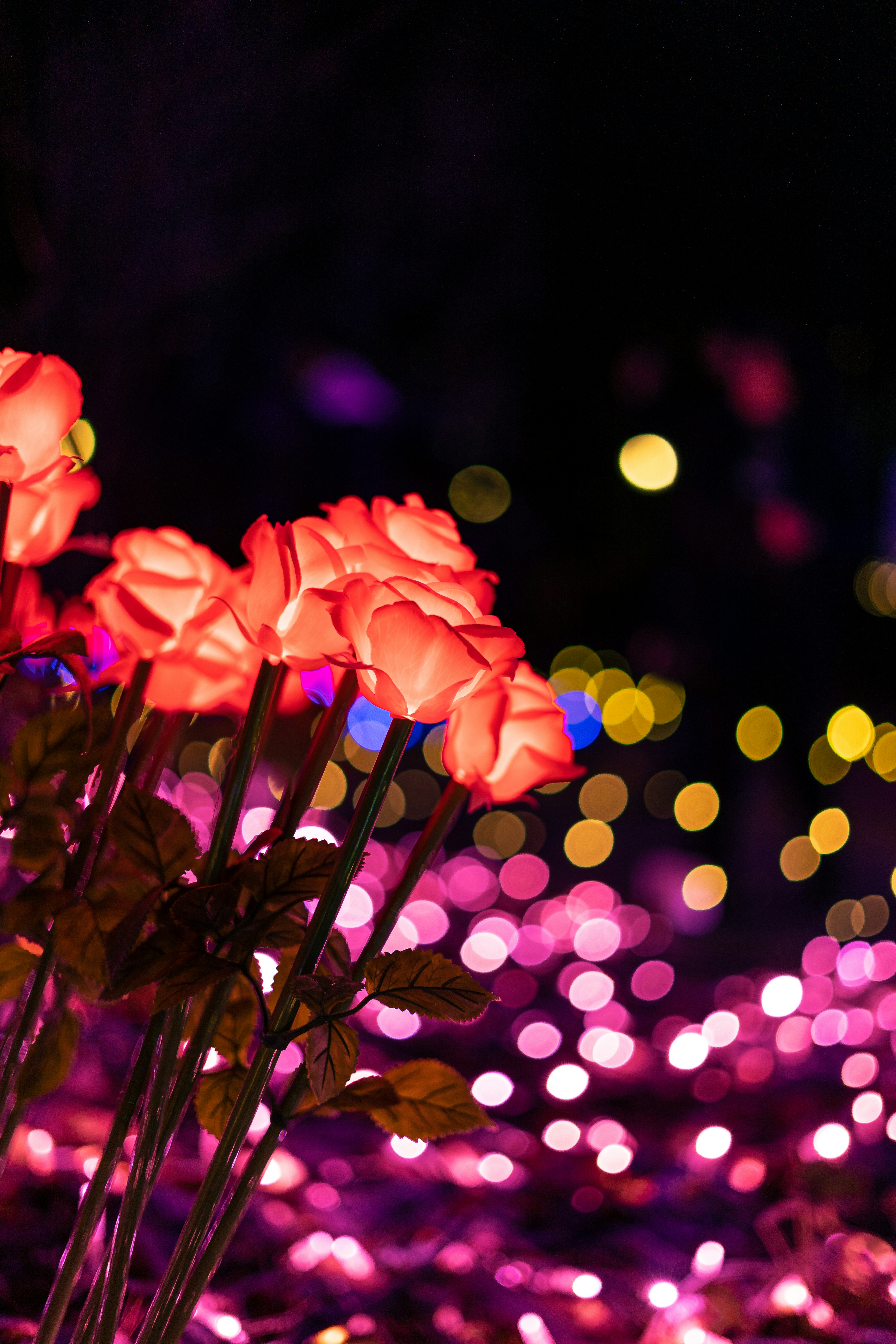 Foto Seikat bunga yang duduk di rumput – Gambar Bunga Gratis di Unsplash