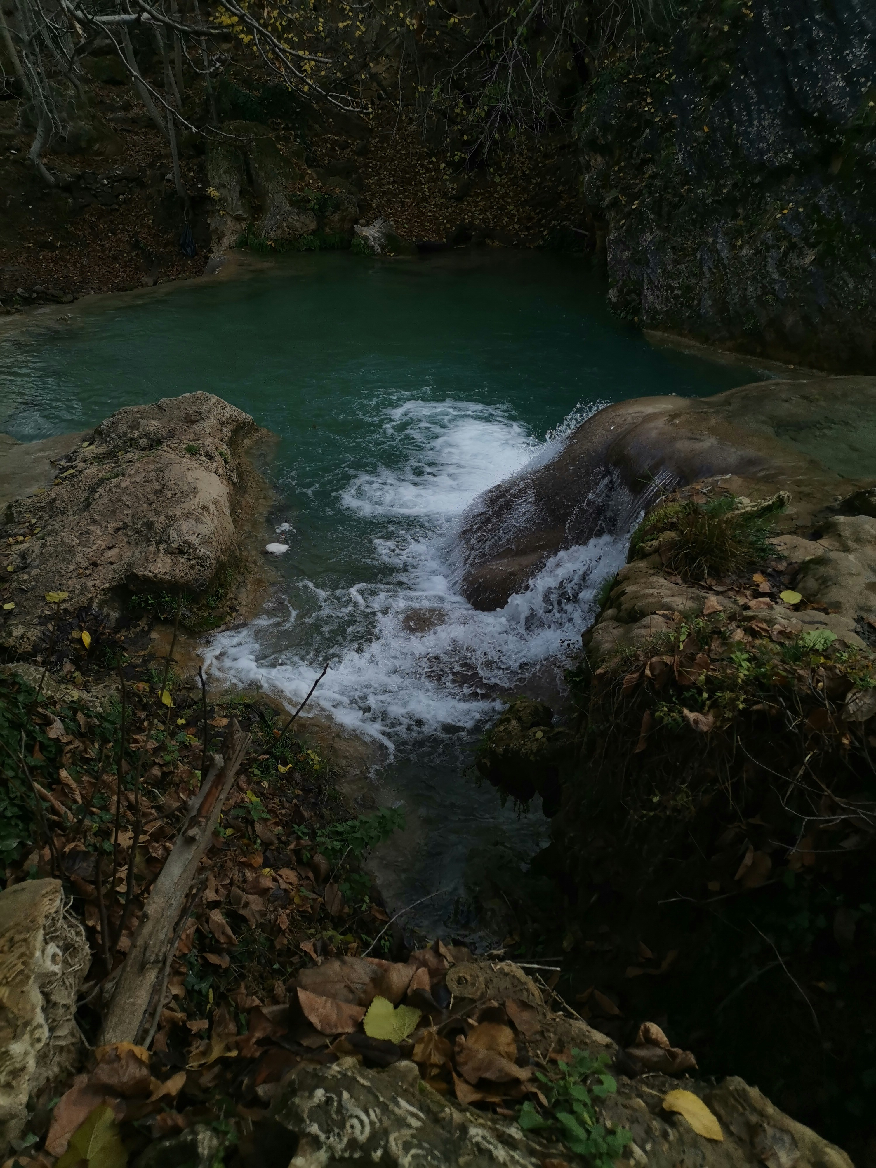 Crystal-clear water cascading over rocks in a serene forest setting, surrounded by autumn leaves. The tranquil scene invites a moment of reflection.