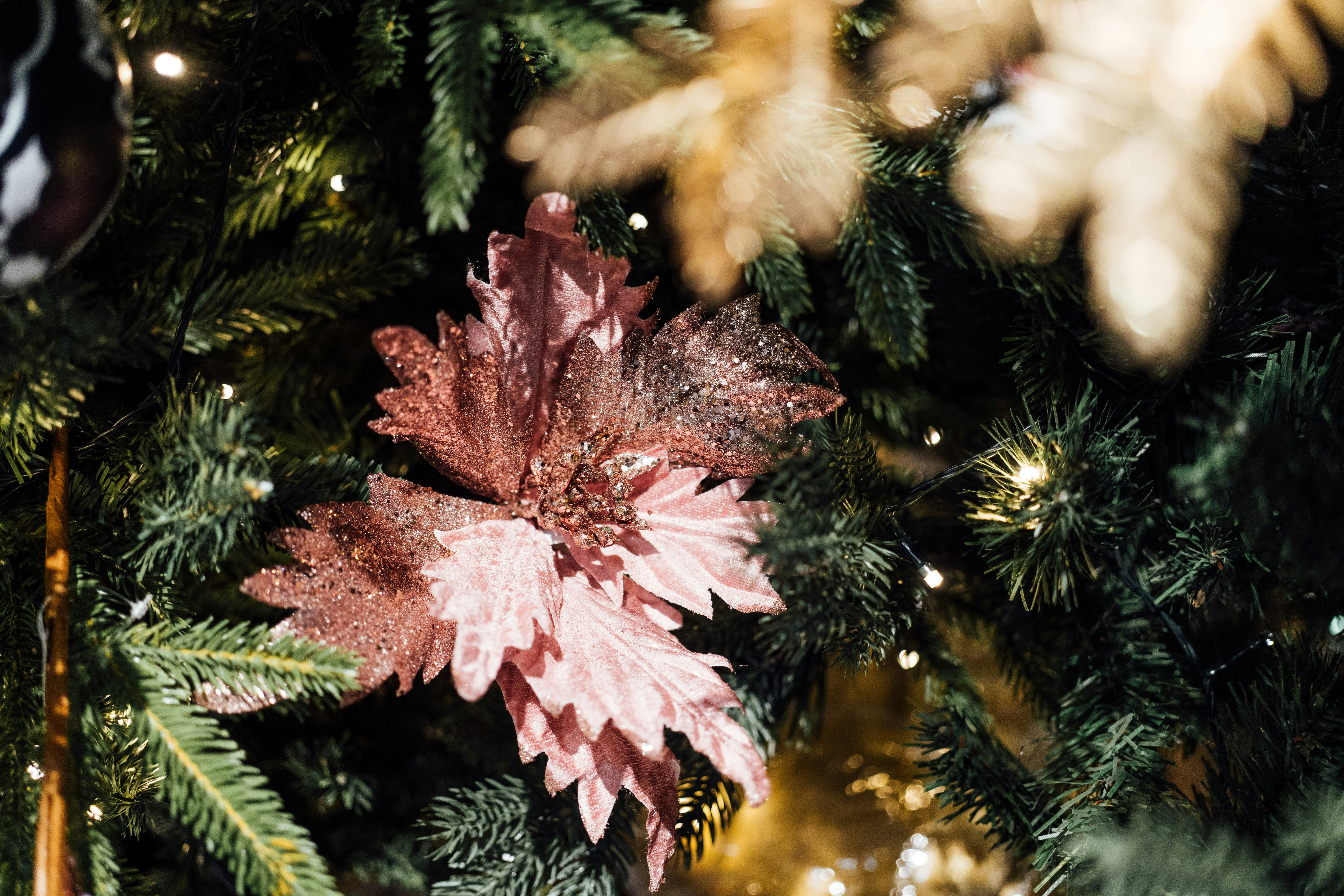 a christmas tree with a pink poinsettia ornament hanging from it